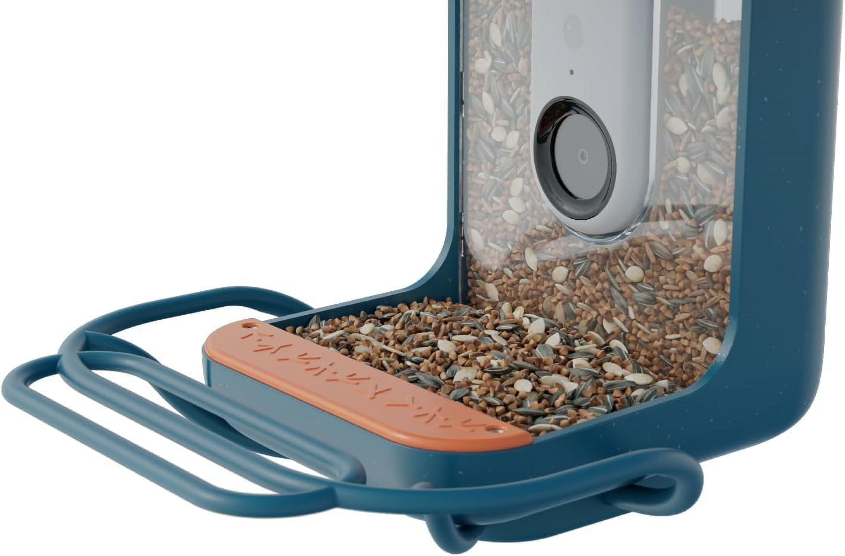 bochuang Blue Perch Extender – Add-On Accessory for Better Bird ...