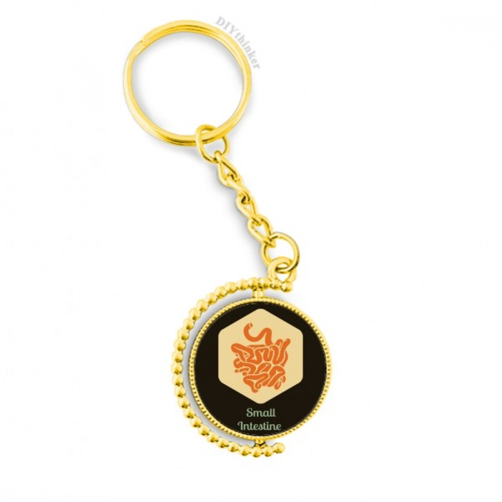 body small intestine metal connector key chain accessory en keyholder ...