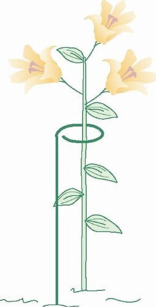 bosmere 24" single plant stem support with 3" hoop, 3-pack - Walmart.com