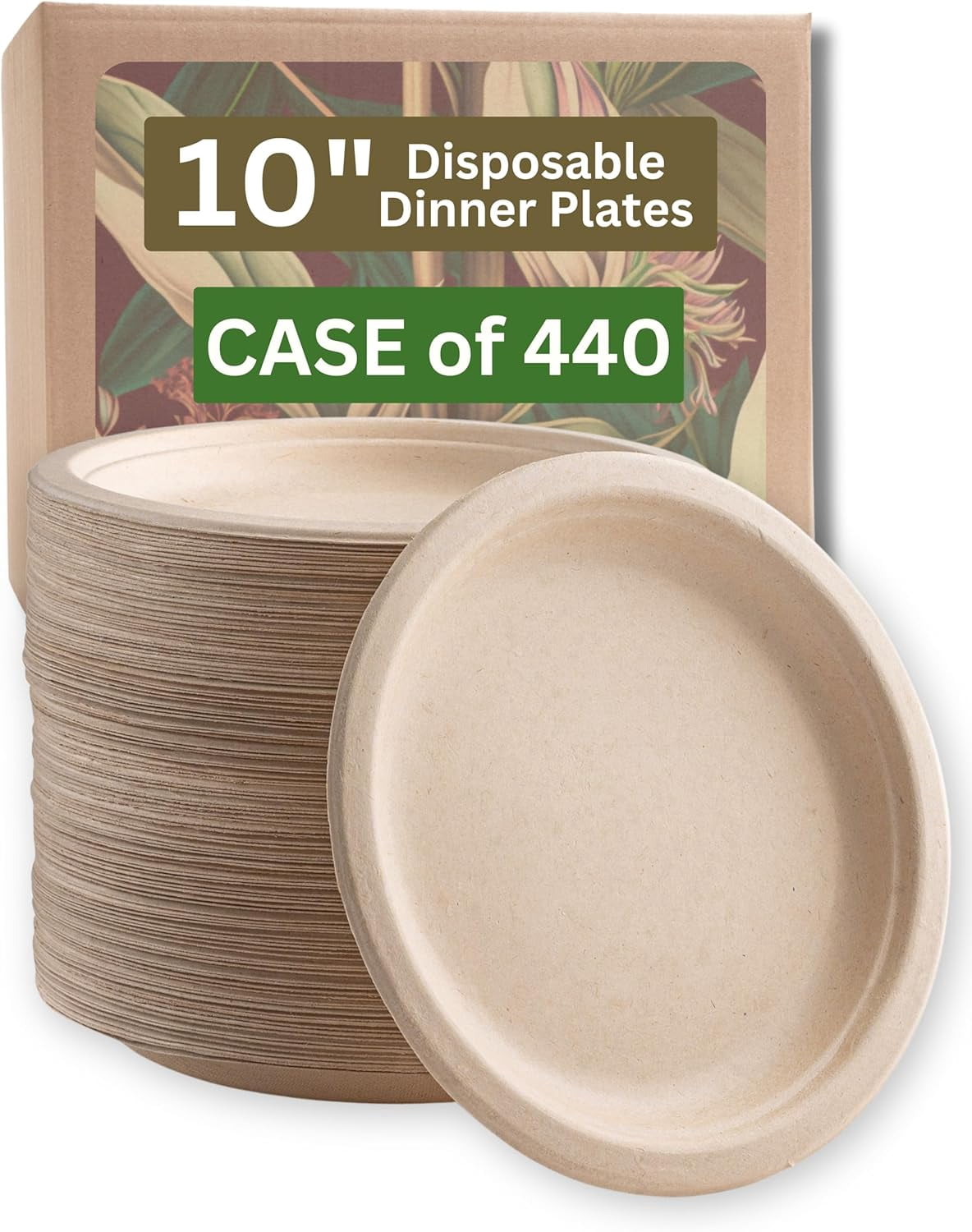 brheez 10 in. Disposable Plates Paper Plates Alternative Compostable ...
