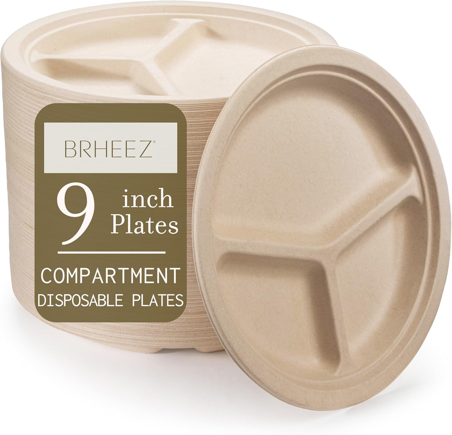 brheez Heavy Duty Compartment Disposable Plates 9 Inch 440 Bulk Plates ...