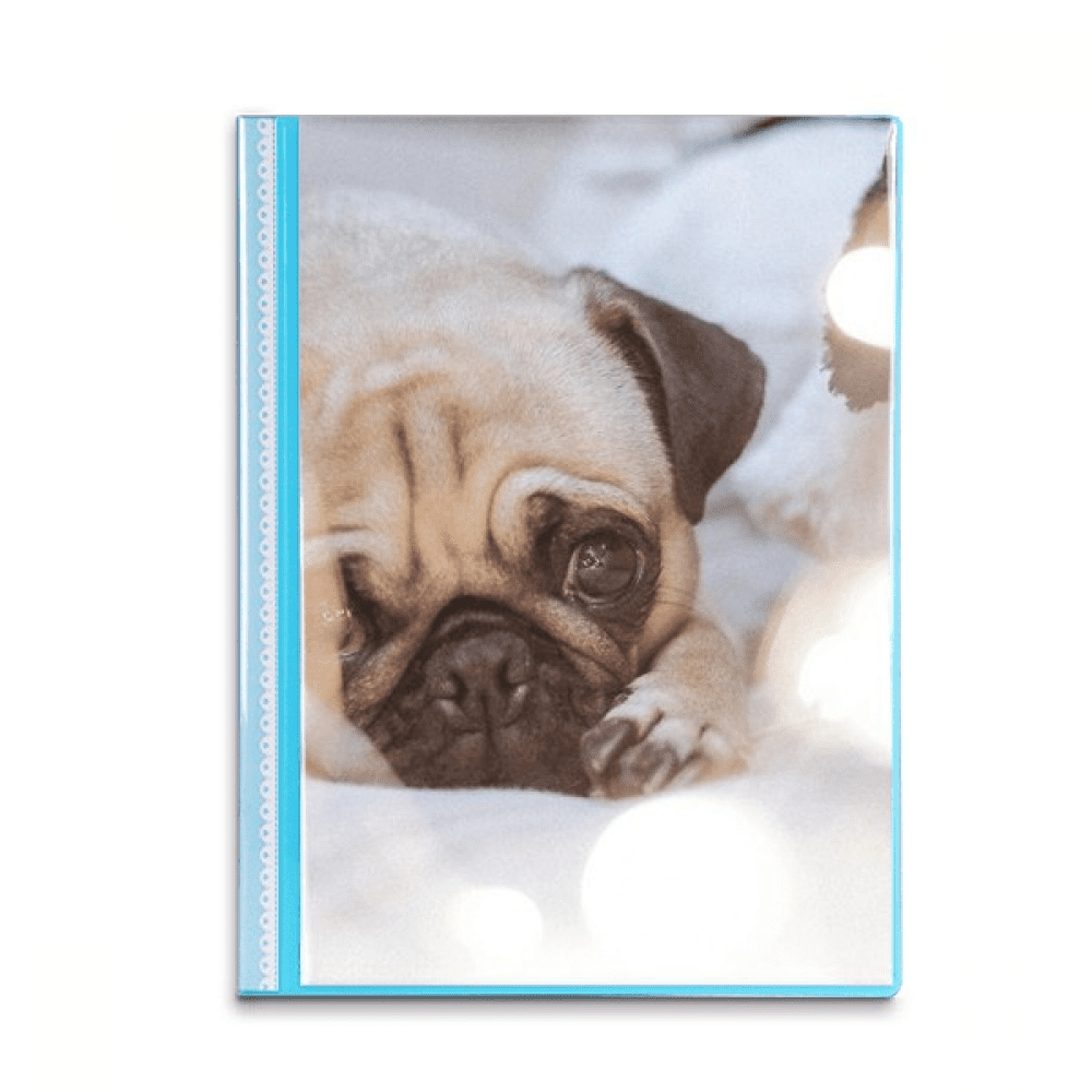 bulldog pet animal lly picture book sheet protectors portfolio binder ...