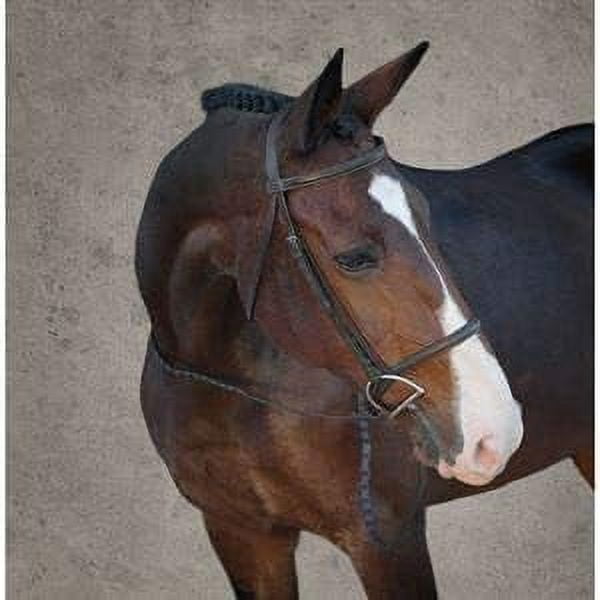 Saddleseat Bridles