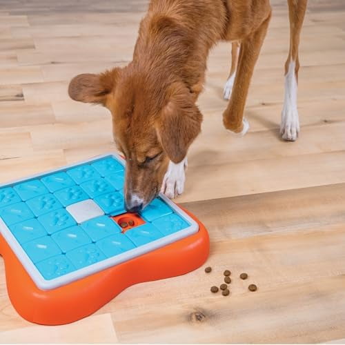 by Nina Ottosson Challenge Slider – Interactive Dog Treat Puzzle ...