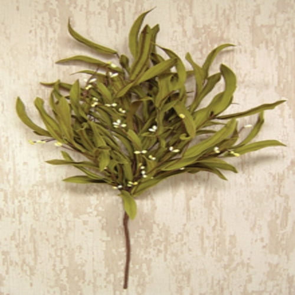 cWI gifts 18 citron Pips & Herb Bush, Multi - Walmart.com