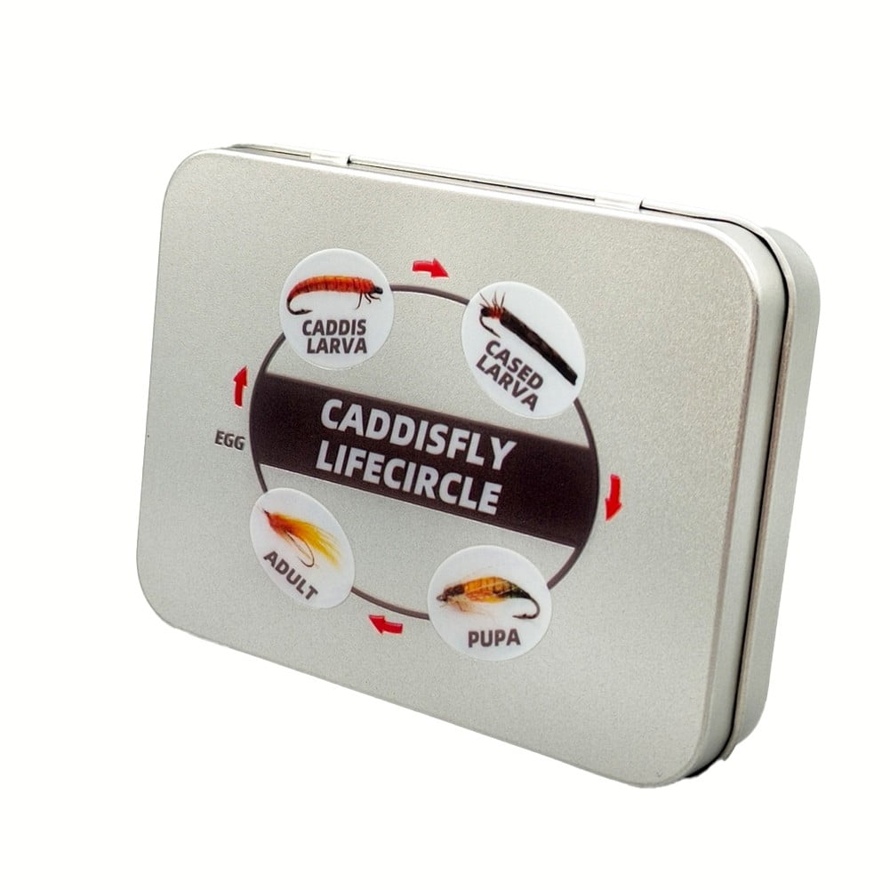 caddisfly life cycle box for For Nymphs and dry flies fishing lure ...