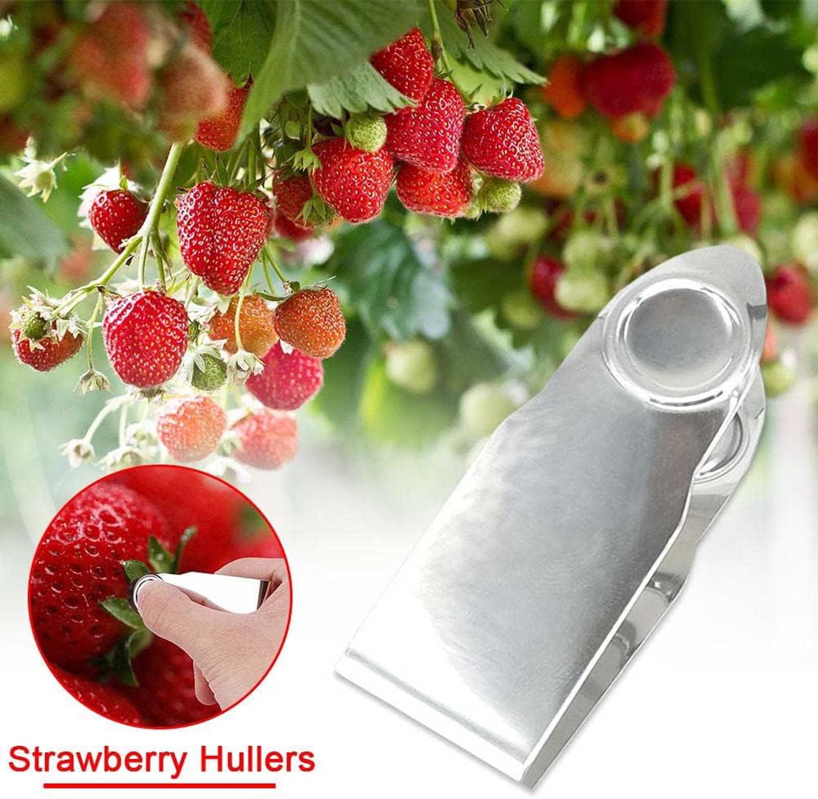 capino Stainless Steel Strawberry Huller Fruit Stem Remover Home Kitchen Tools for Cherry Tomato ...