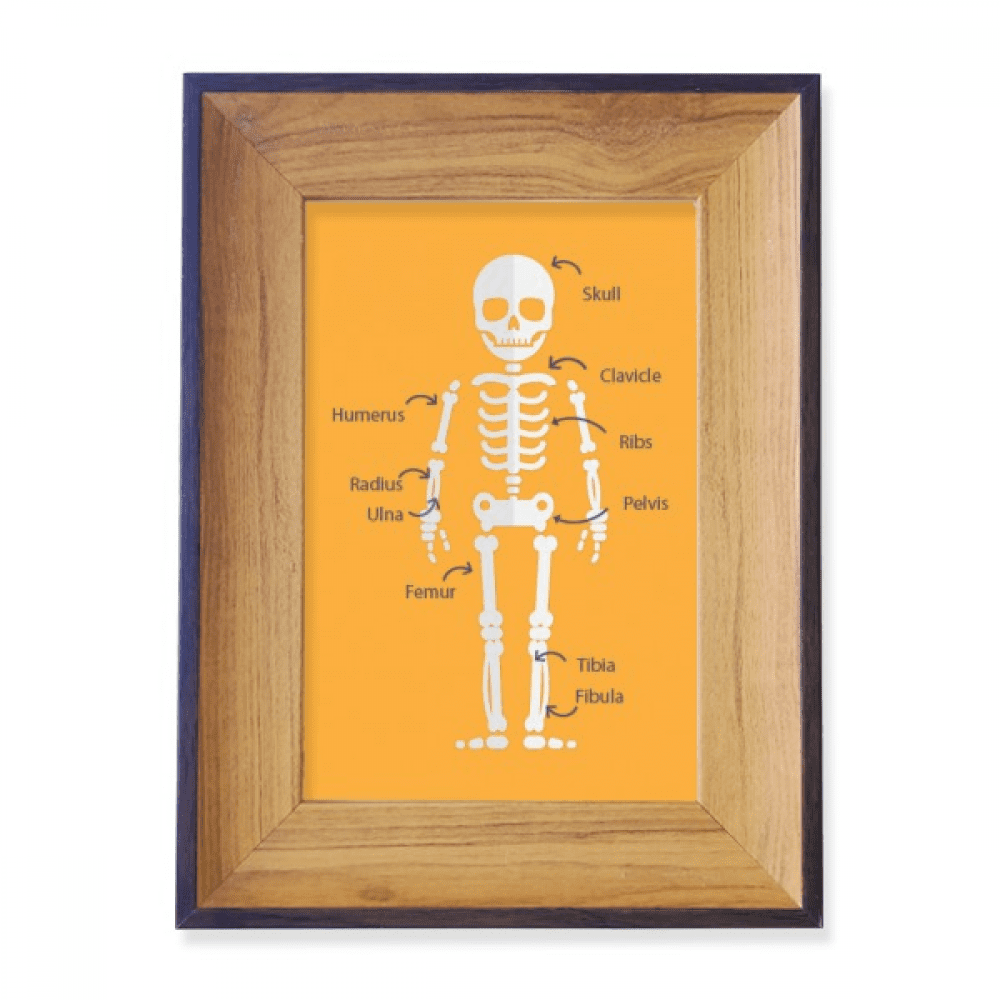 cartoon human b illustration photo frame exhibition display art desktop ...
