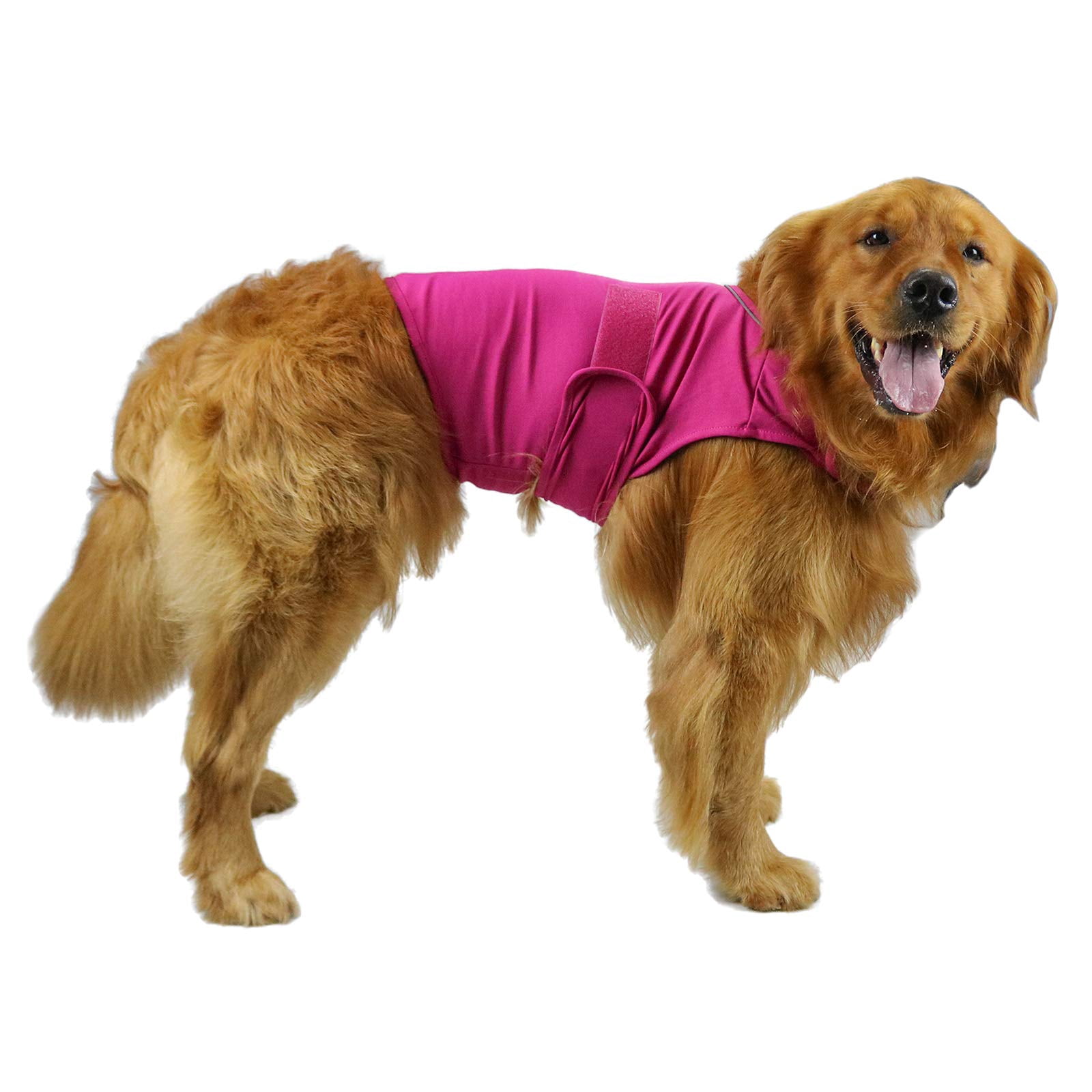 cattamao Comfort Dog Anxiety Relief Coat, SMRDog Anxiety Calming Vest ...
