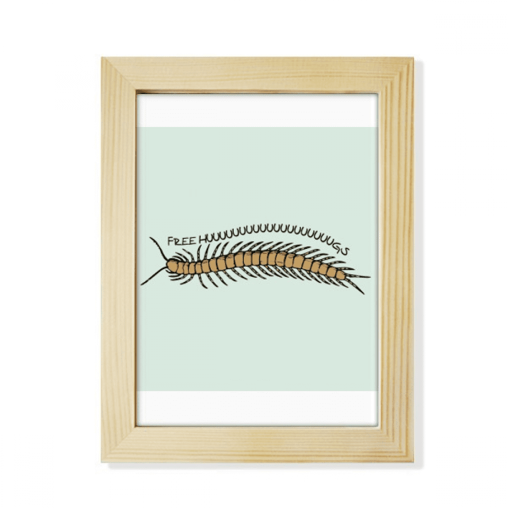 centipede leg number damage desktop adorn photo frame display art ...