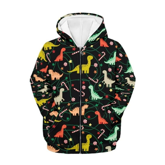 chaqlin Girls' Fashion Hoodies & Sweatshirts Dinosaur Full Zip Hoodie ...