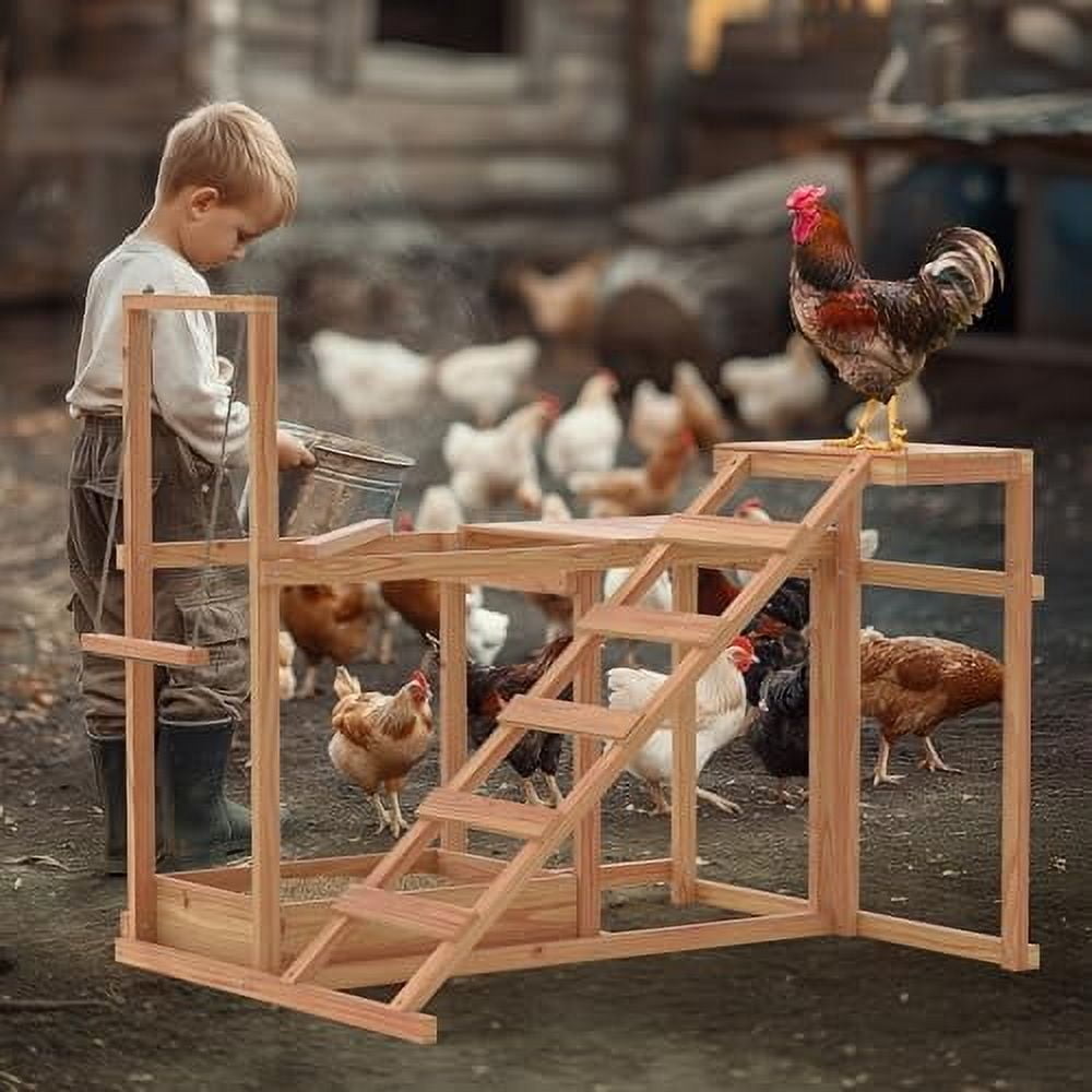 chicken activity play, multiple birds perches with swing toy, wooden ...