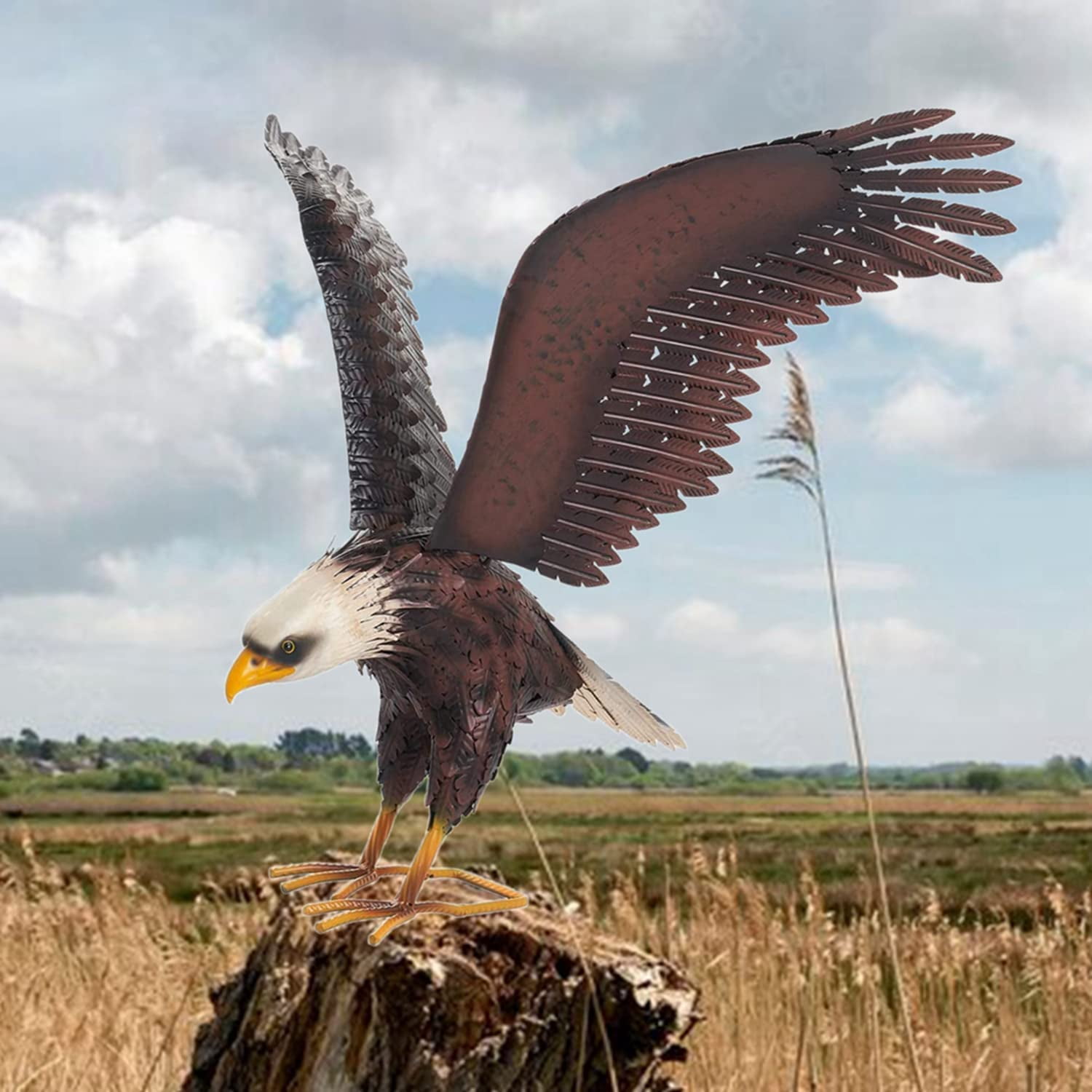 chisheen Metal Bald Eagle Garden Statue Outdoor Large Bird Metal Yard ... chisheen Metal Bald Eagle Garden Statue Outdoor Large Bird Metal Yard ...