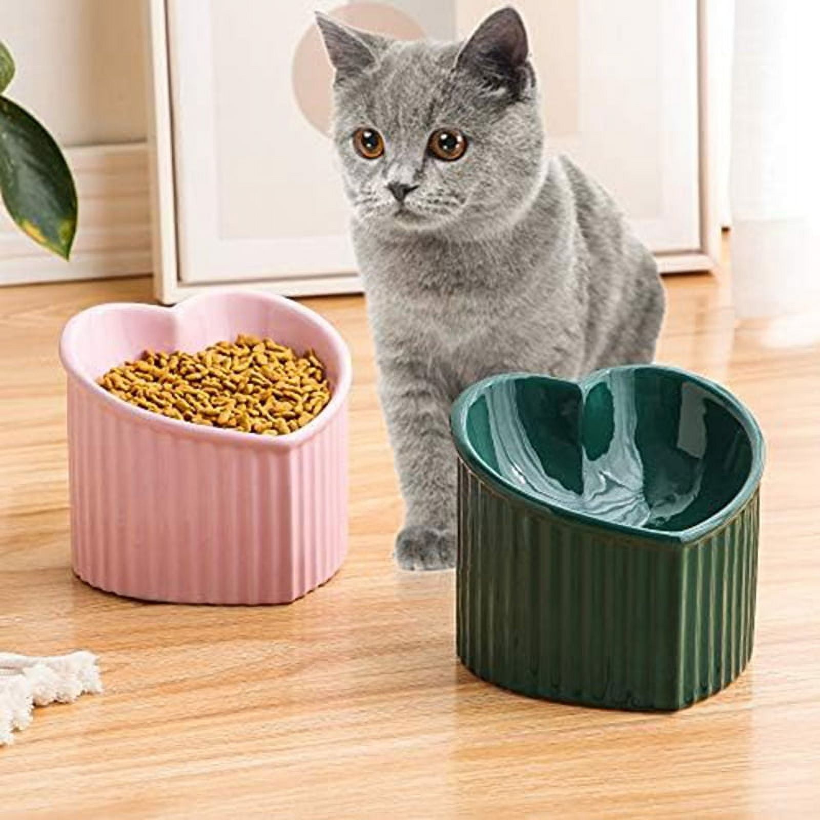 ckepdyeh Ceramic Raised Cat-Bowls,Tilted Elevated Food or Water Bowls ...