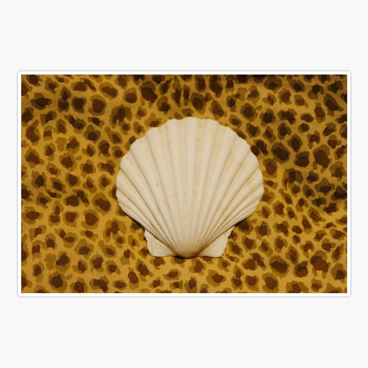 clamshell Sticker - Walmart.com