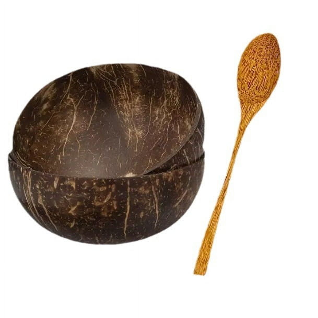 coconut bowl coconut shell bowl old coconut shell coconut wood bowl ...