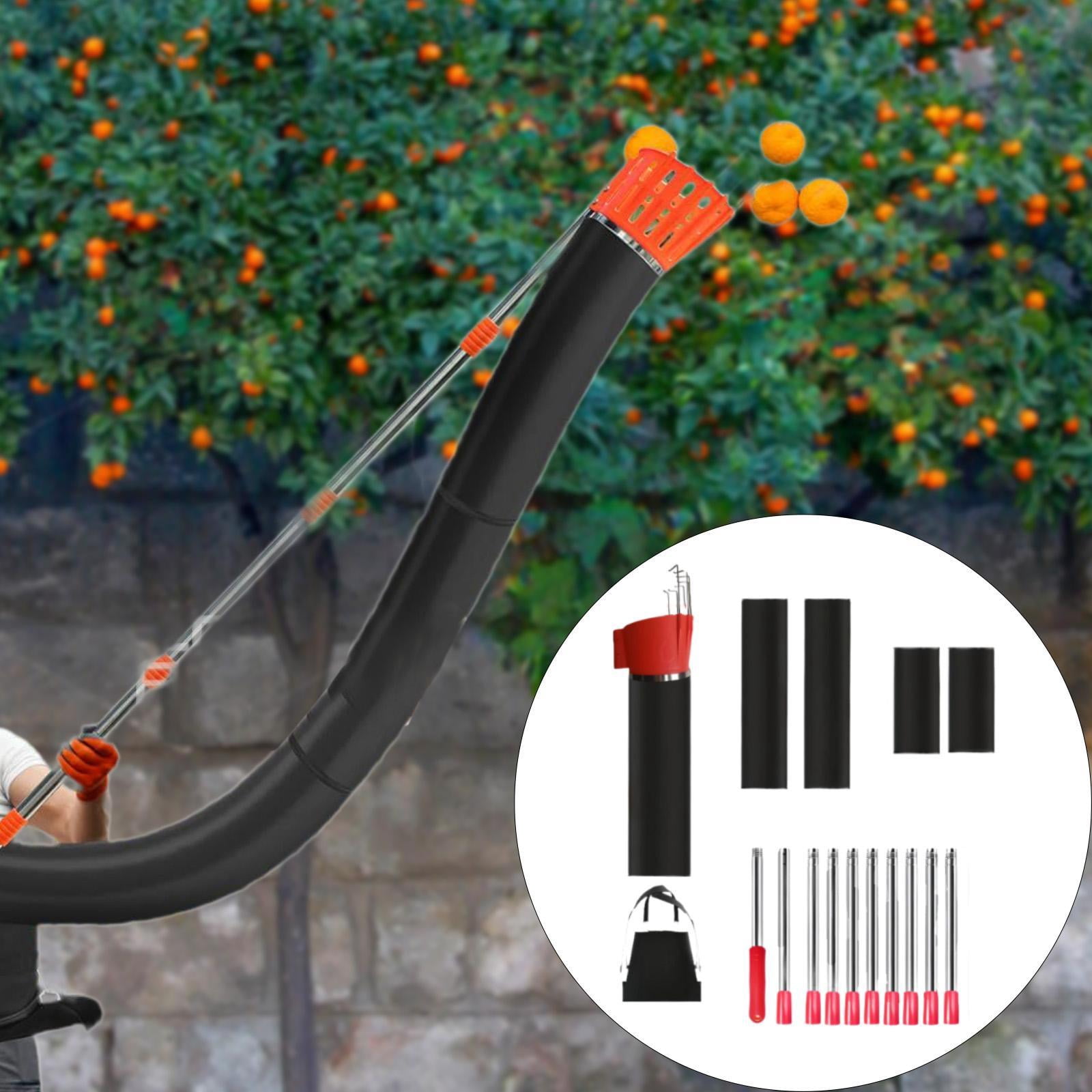 colaxi 13 Feet Fruit Picker Pole Integrated Picking Tools with Harvest ...