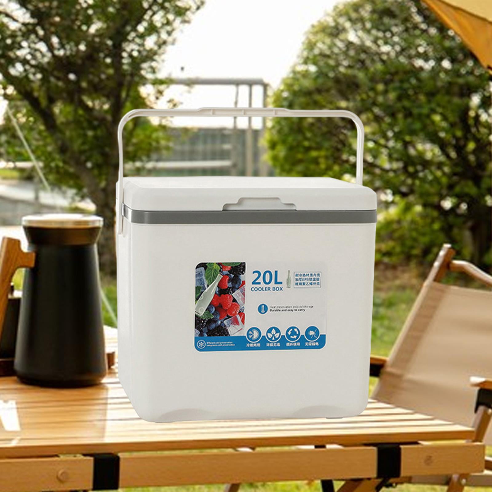 colaxi Box Ice Box Personal Portable with Handle Insulated Box Ice ...