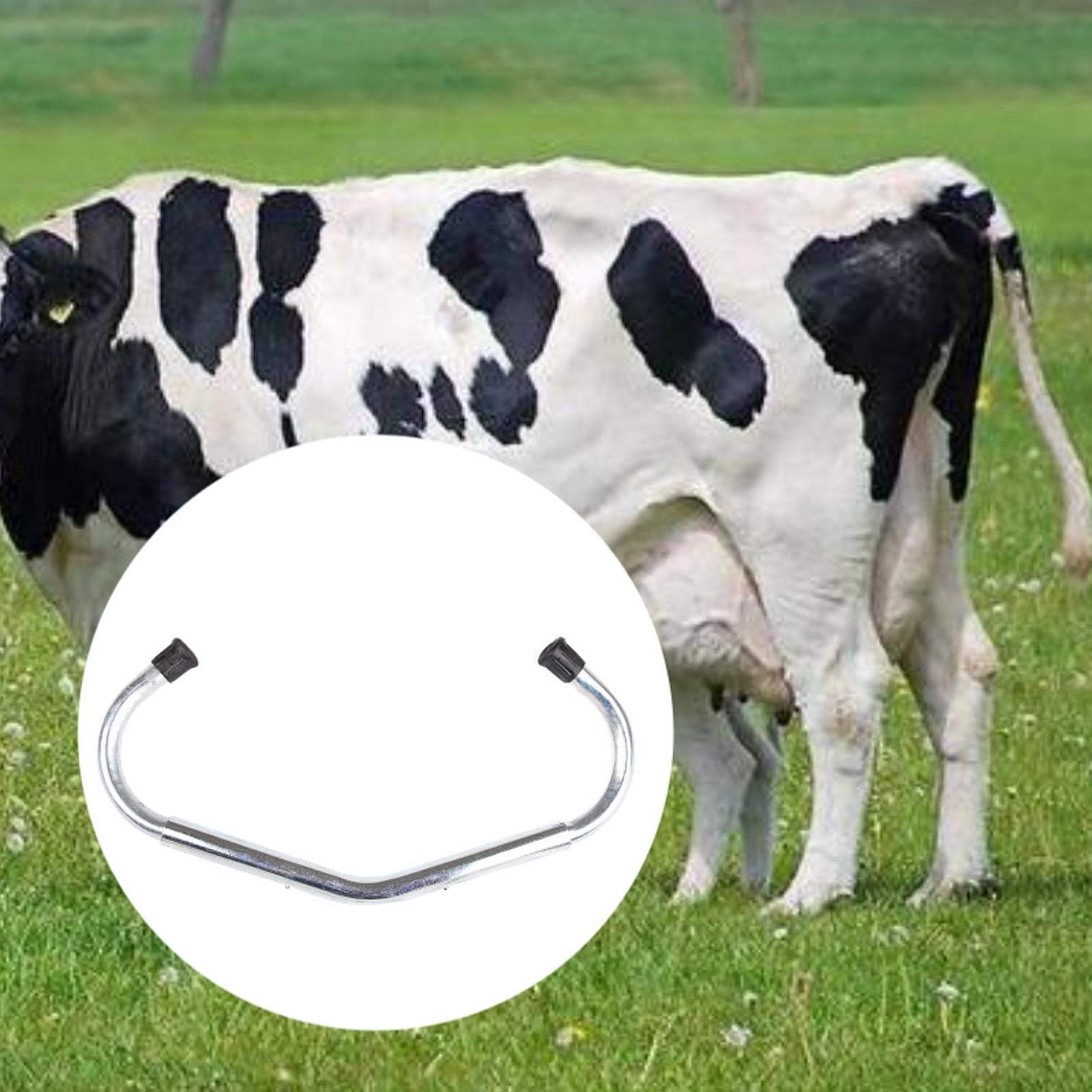 colaxi Cattle Anti Kicking Stick Anti Kick Off Device Tool Sturdy ...