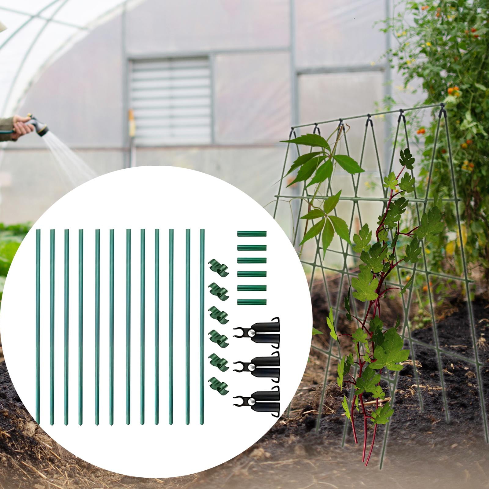 colaxi Cucumber Trellis Detachable Premium Metal Grow Support A Frame ...