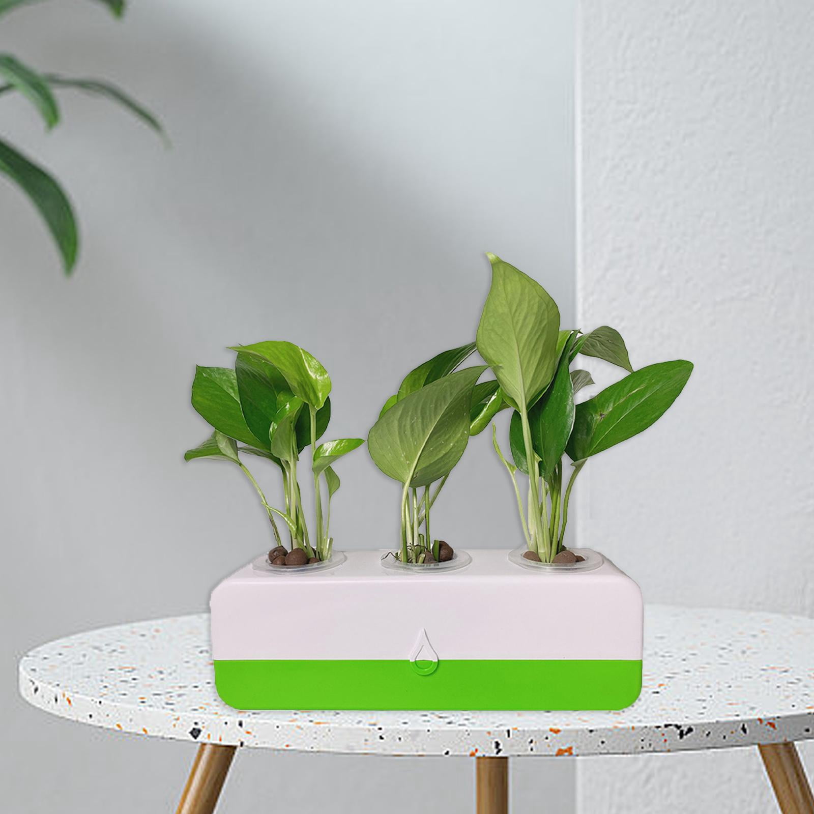 colaxi Desktop Hydroponic Plant Flower Pot DIY Hydroponics Kit for Home ...