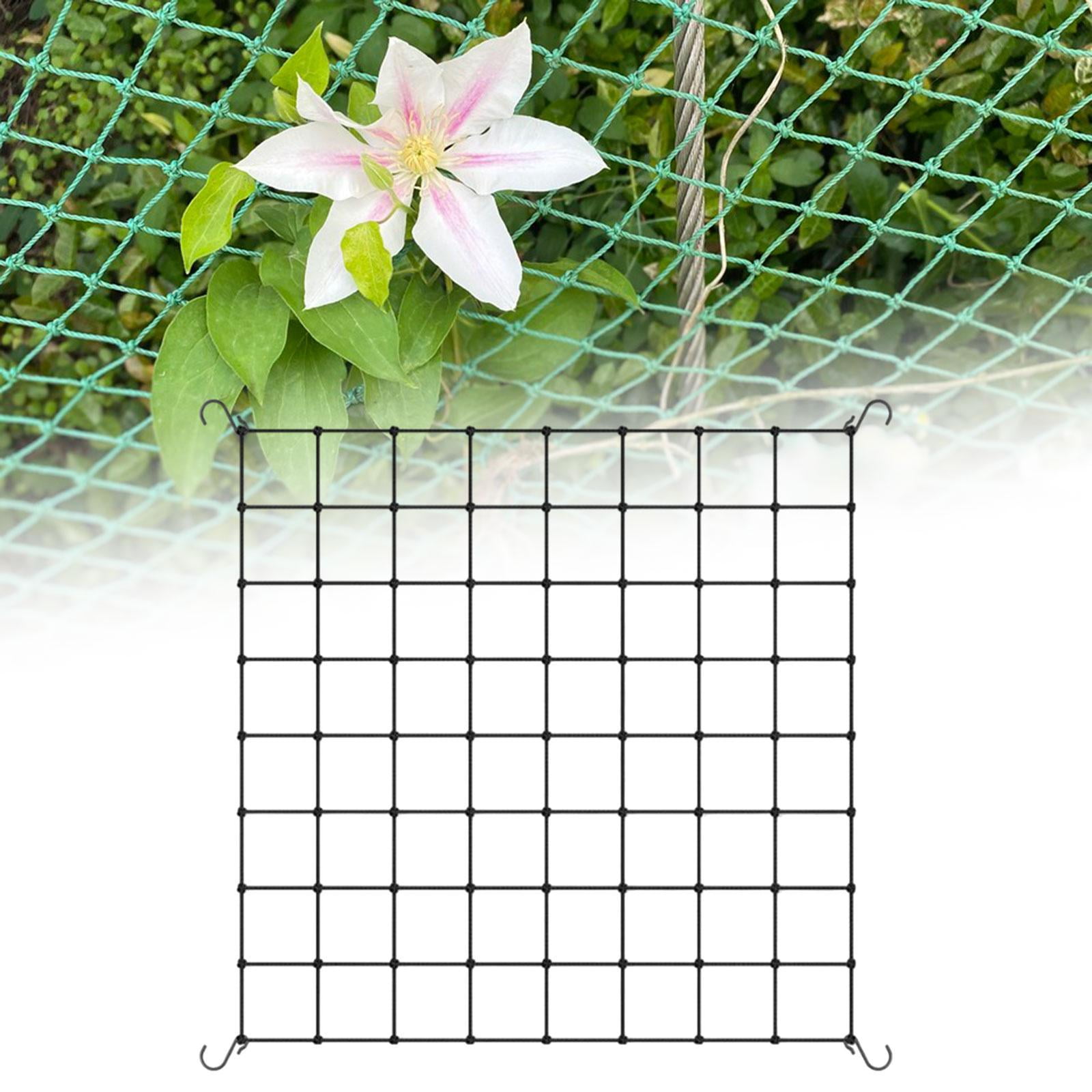 colaxi Plant Trellis Netting with 4 Hooks Elastic Lightweight for Peas ...