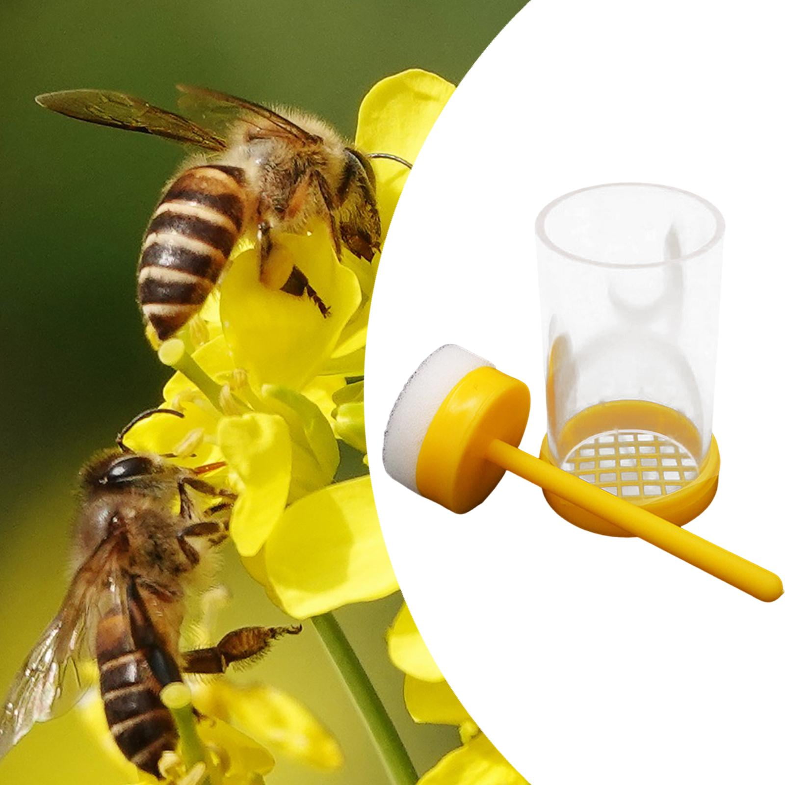 colaxi Queen Marking Tool, Queen Bee Marker, Marking Bottle,Convenient ...