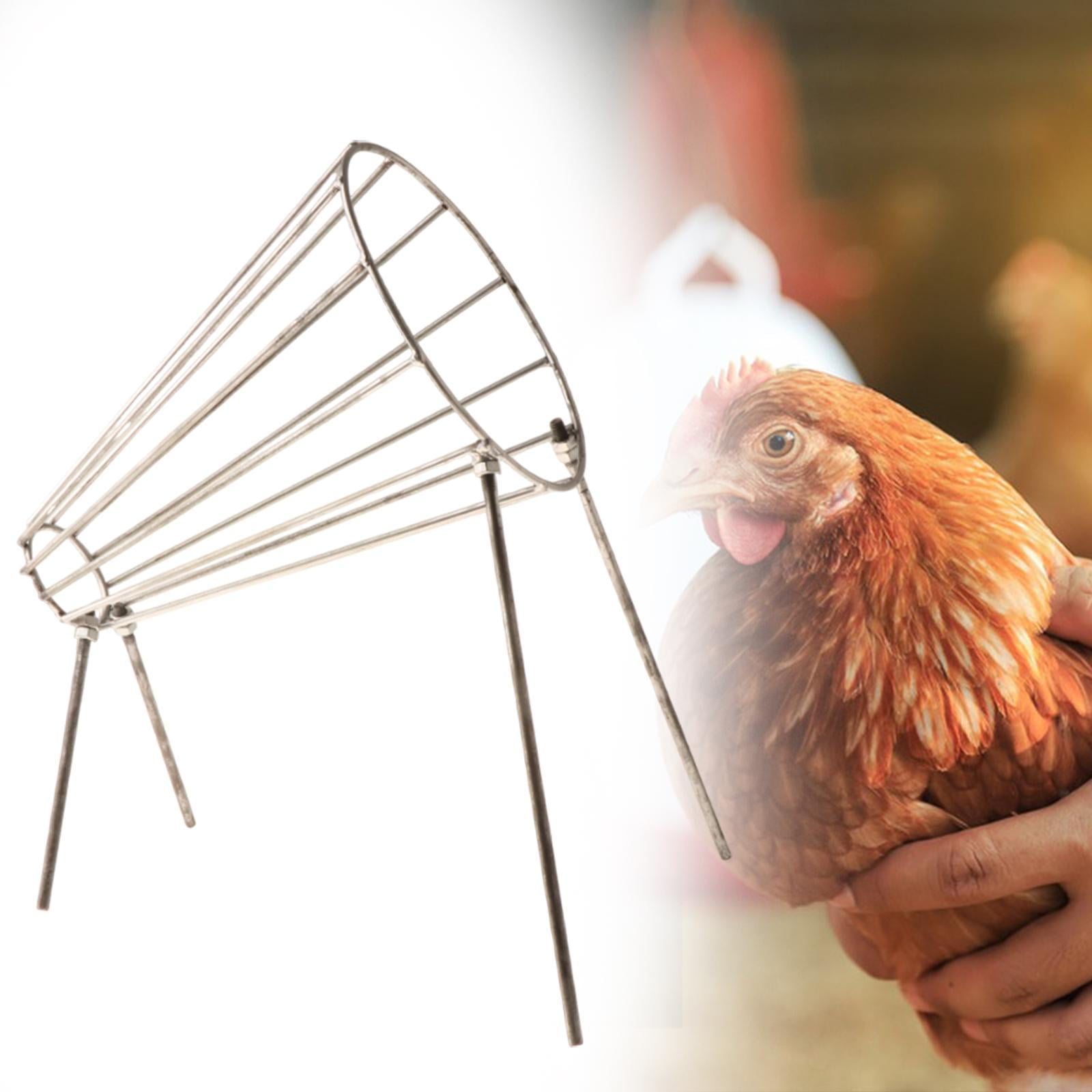 colaxi Restraining Cone Chicken Cone Standing Metal Killing Chicken ...