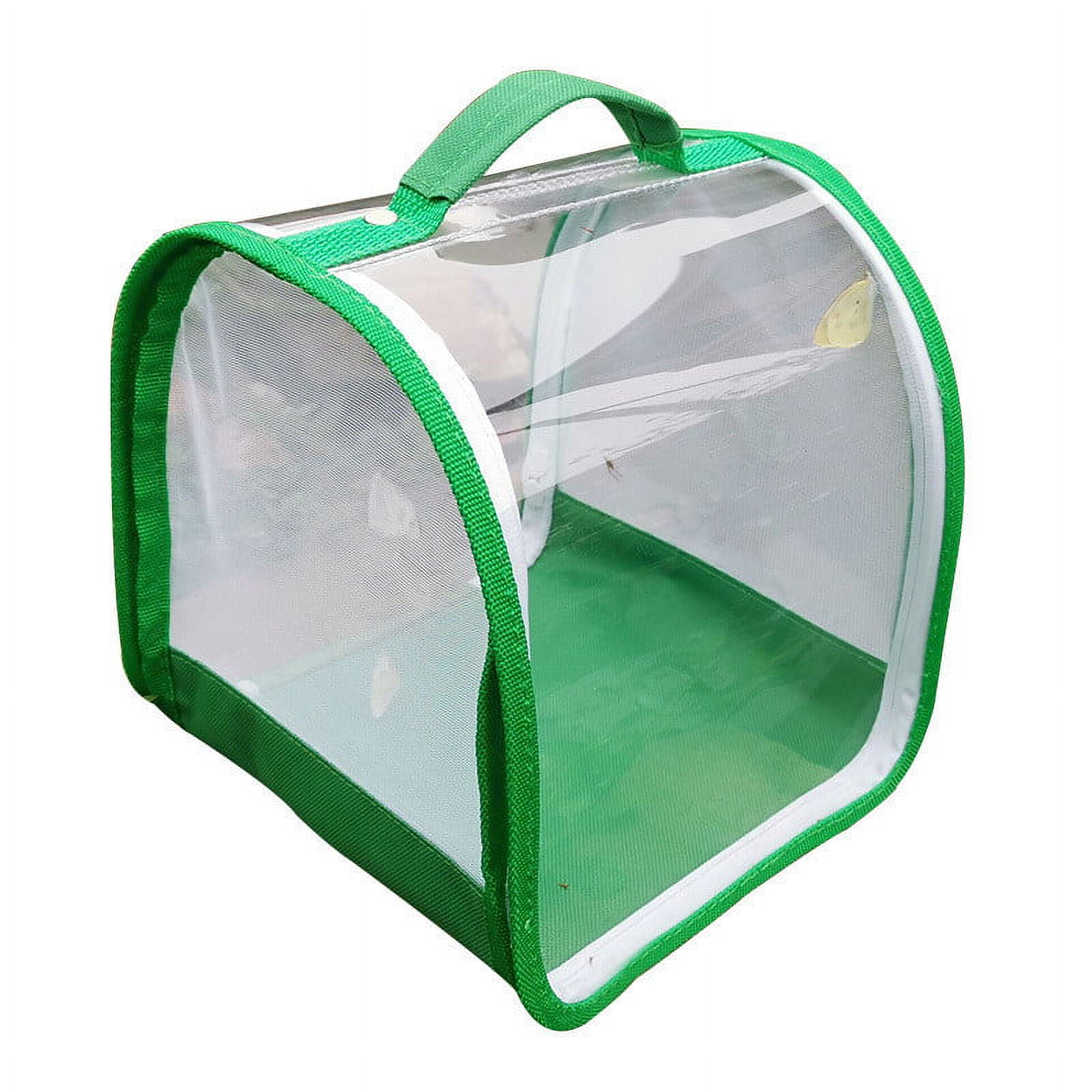 colour Foldable Insect Terrarium Transparent Observation Box 720 Degree ...