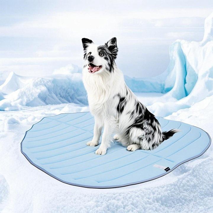 cooling pet Mat, Eco-friendly Cooling Pad for Large Dog, Pet Cooling ...
