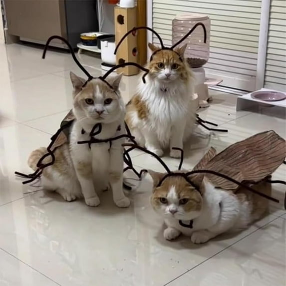 cpengpj Cat Cockroach Clothing DIY Kit, Funny Kitten Cape Craft Set ...