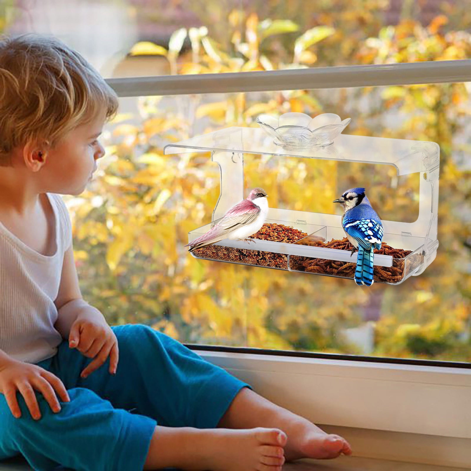 cpengpj Clearance The New Transparent Wall-mounted Bird Cage with ...