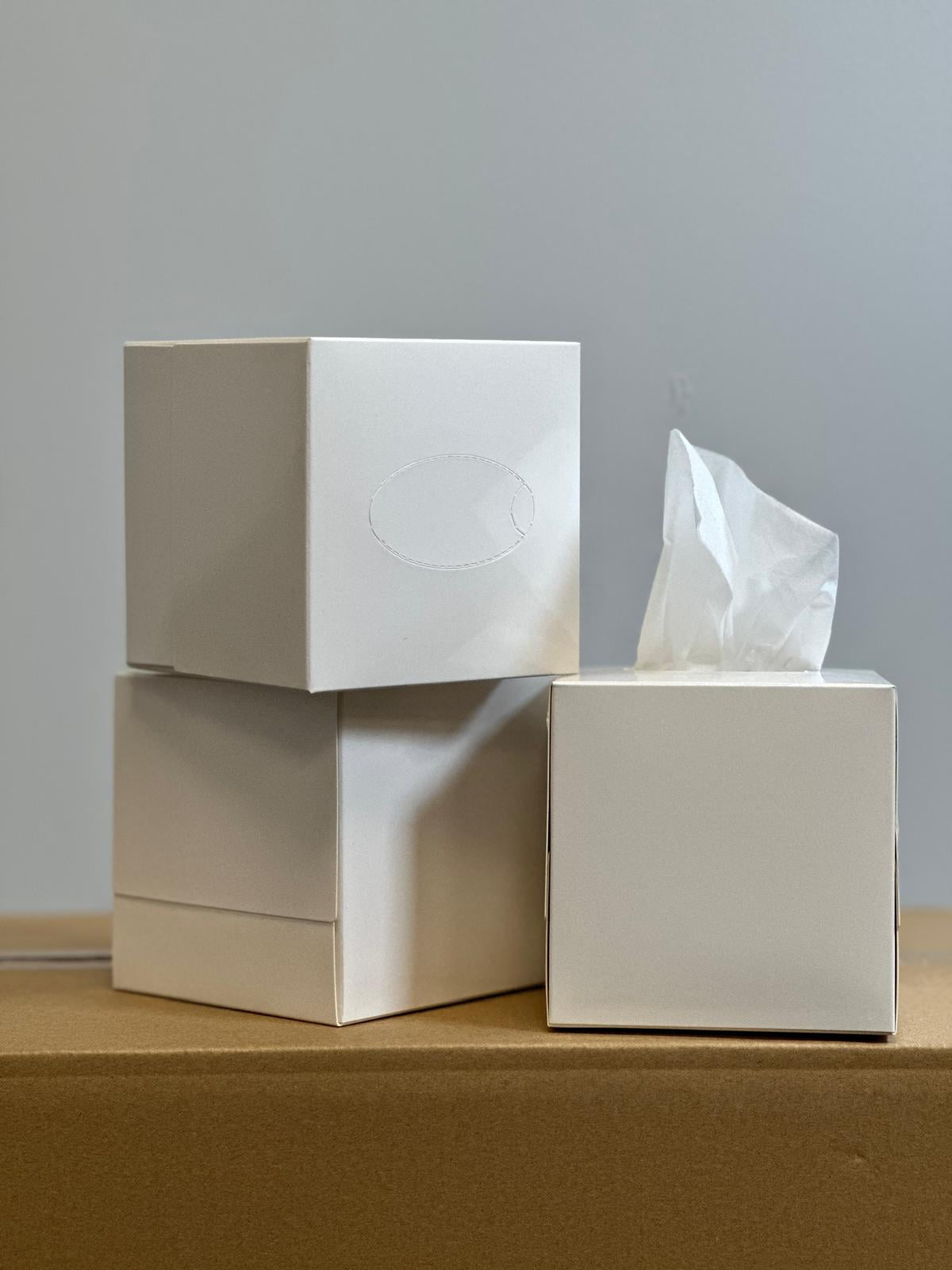 cube box facial tissue 90 Sheets 2 Ply 48 Boxes - Walmart.com