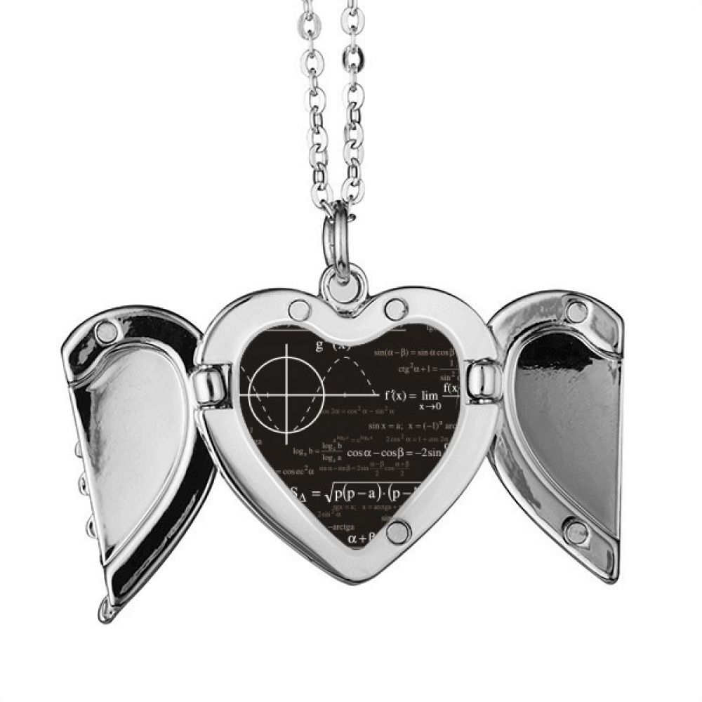 curve graphs mathematical formula calculations angel wings necklpendant ...