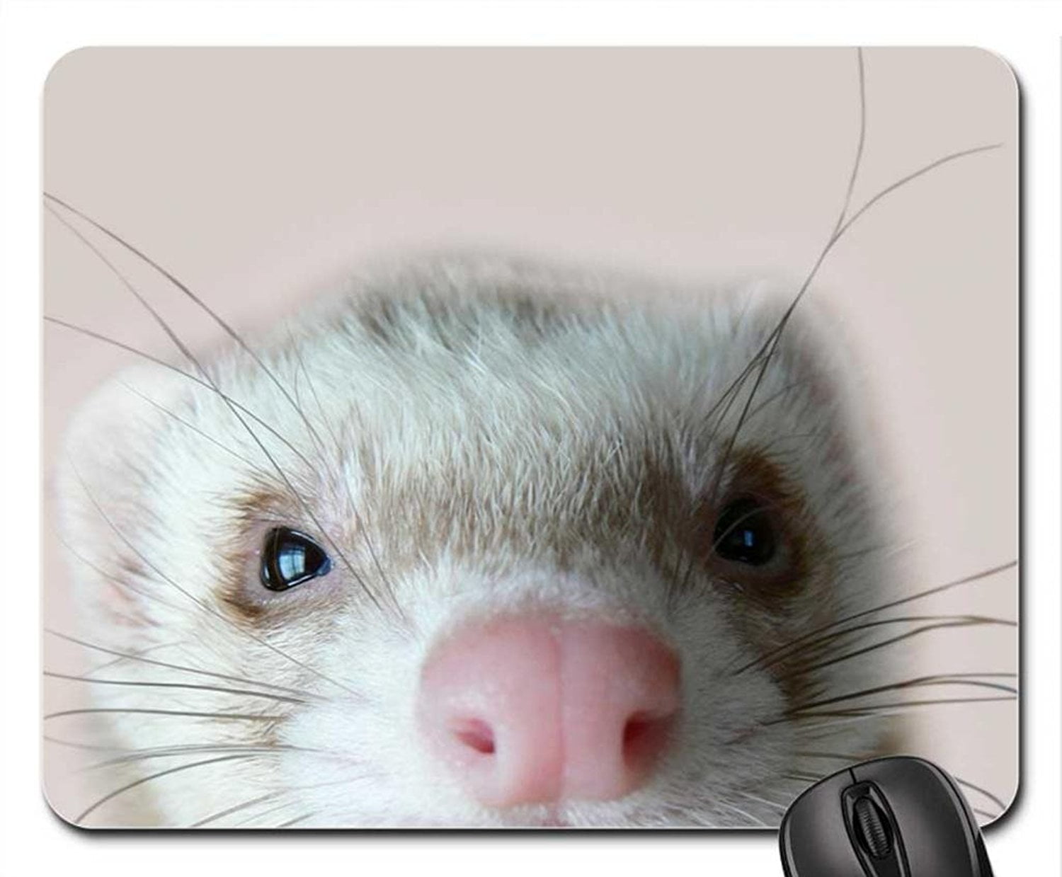 cute ferret Mouse pads Gaming Mouse Pad 9.84x7.87 inches: PC Gaming ...