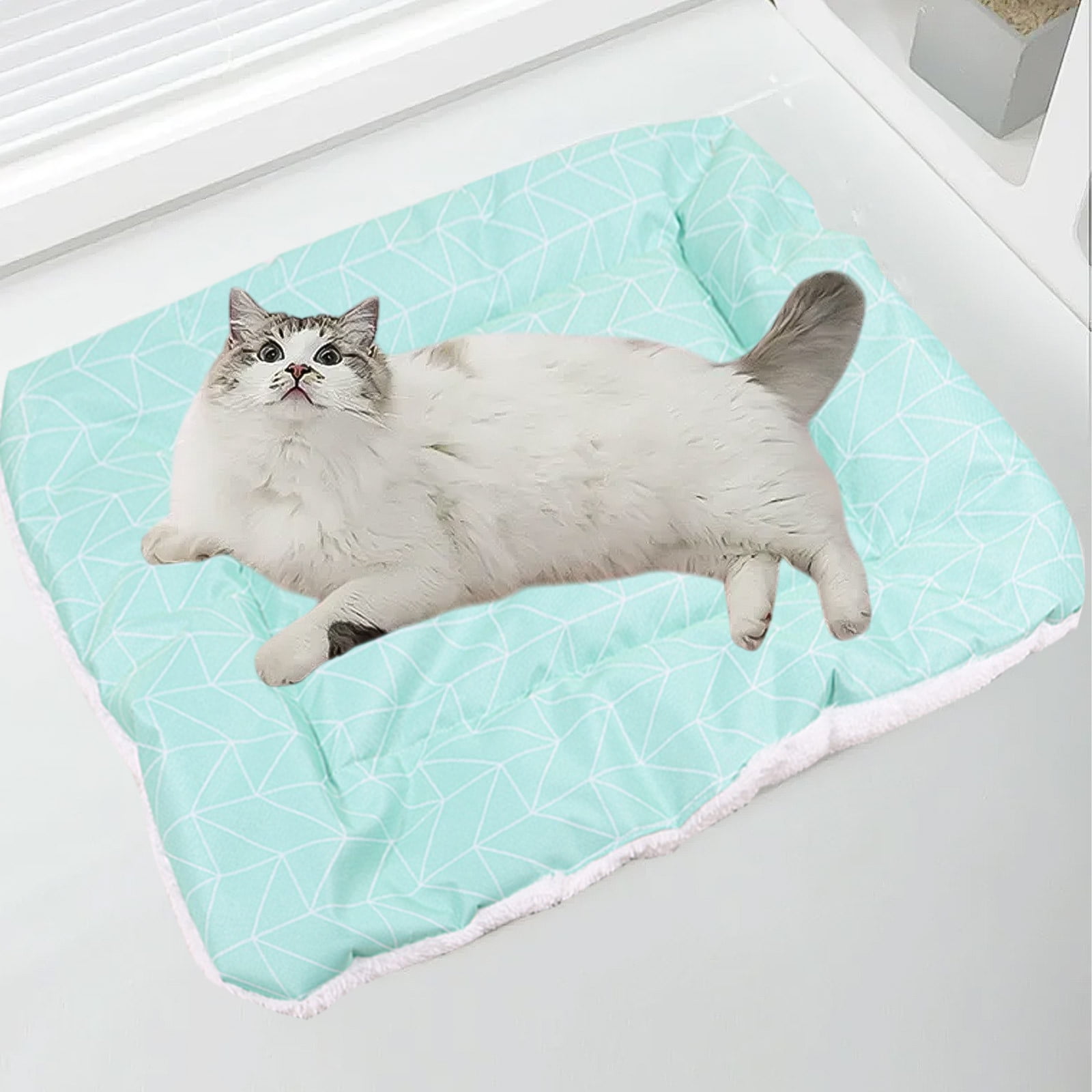 cuyhtdup Double Sided Pet Mat - Cotton Material, Blue Color, 55x45cm ...
