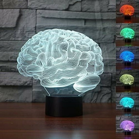 cvlncycling Human Brain -Cerebellum Model Table Lamp 7 Color Changing ...