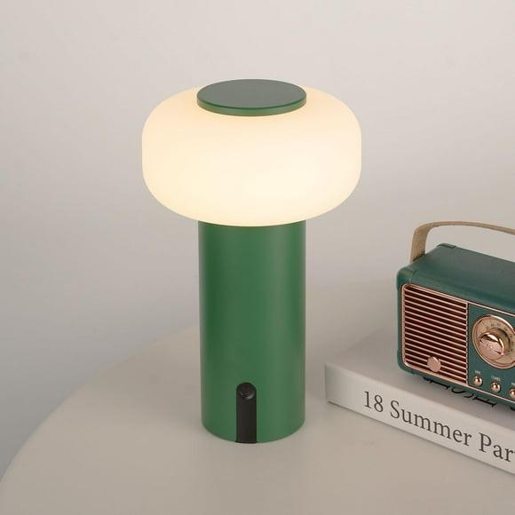 Shower Lights Waterproof Battery Operated