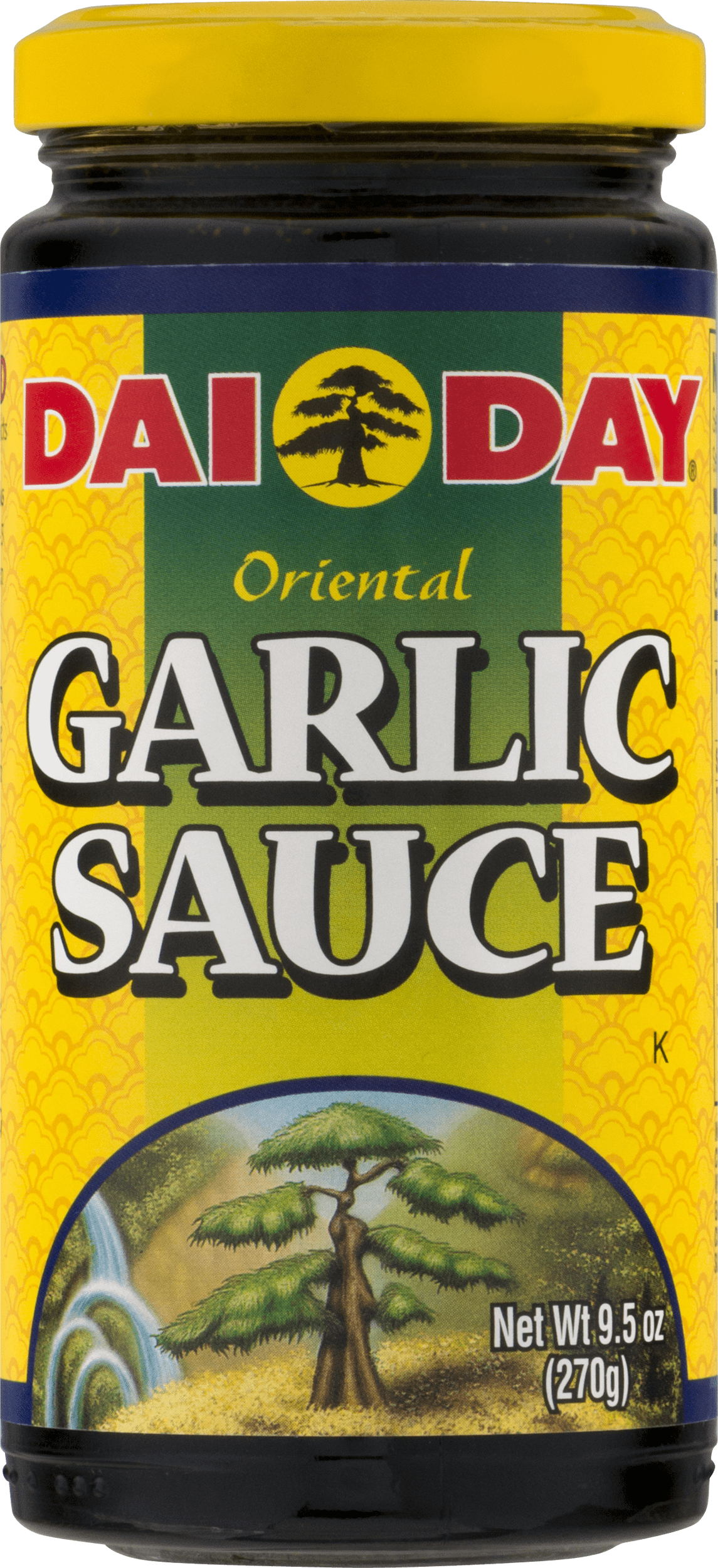 Dai Day Garlic Sparerib Sauce, Oriental Condiment, 9.5 oz, 1 Pack ...