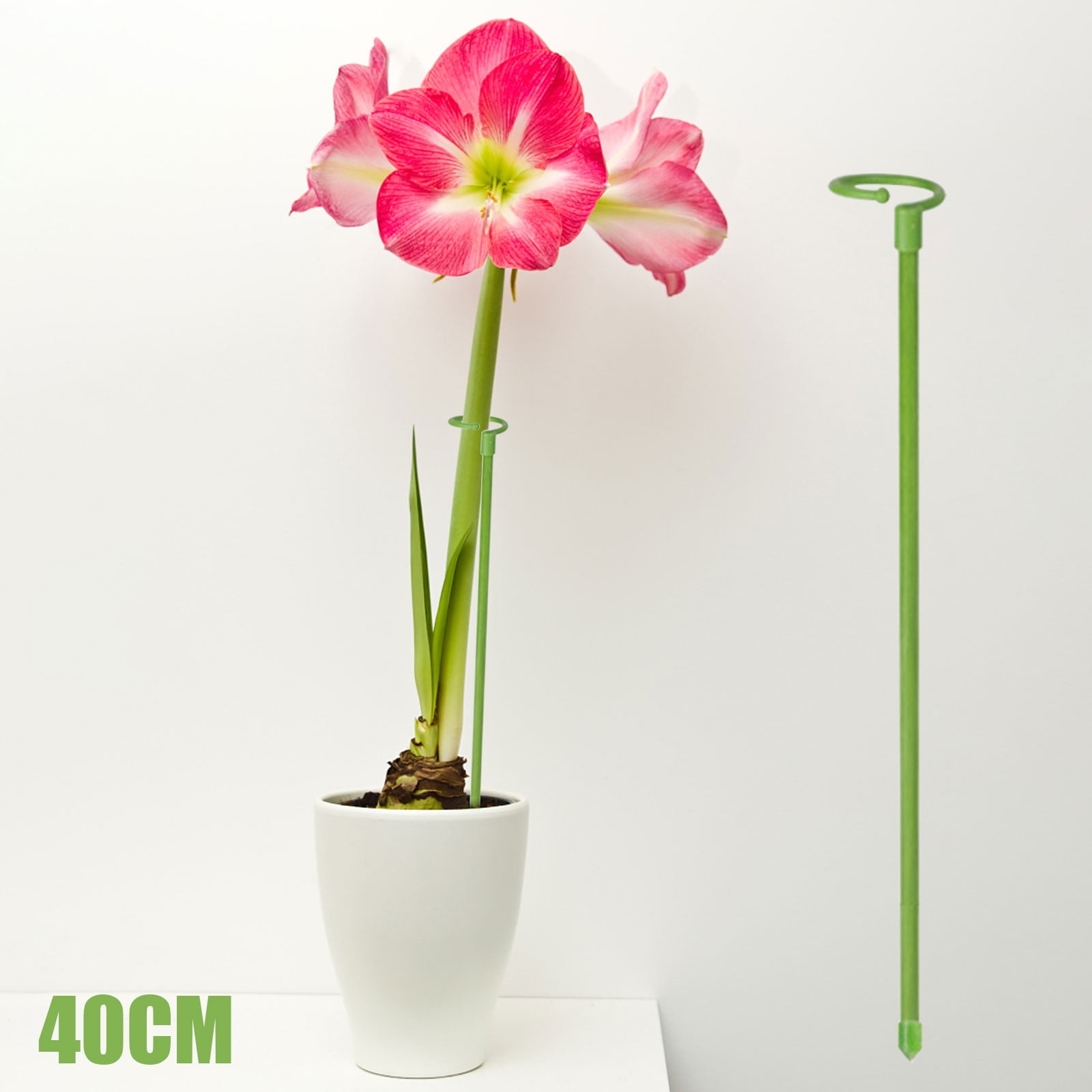 dajkiuy Garden Single-stem Plant Support Frame Support Plant Flower ...
