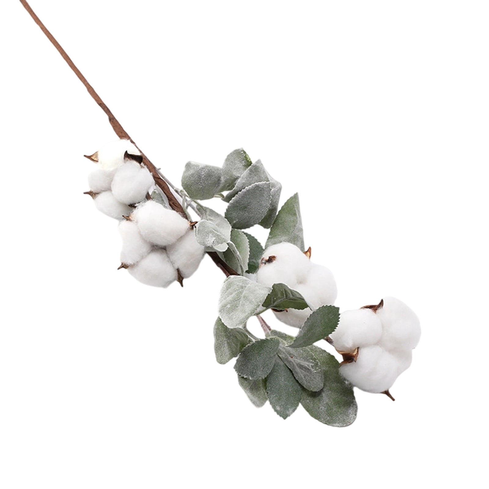 dajkiuy Cotton Picks Decor Branches, Natural Dried Flowers Cotton ...