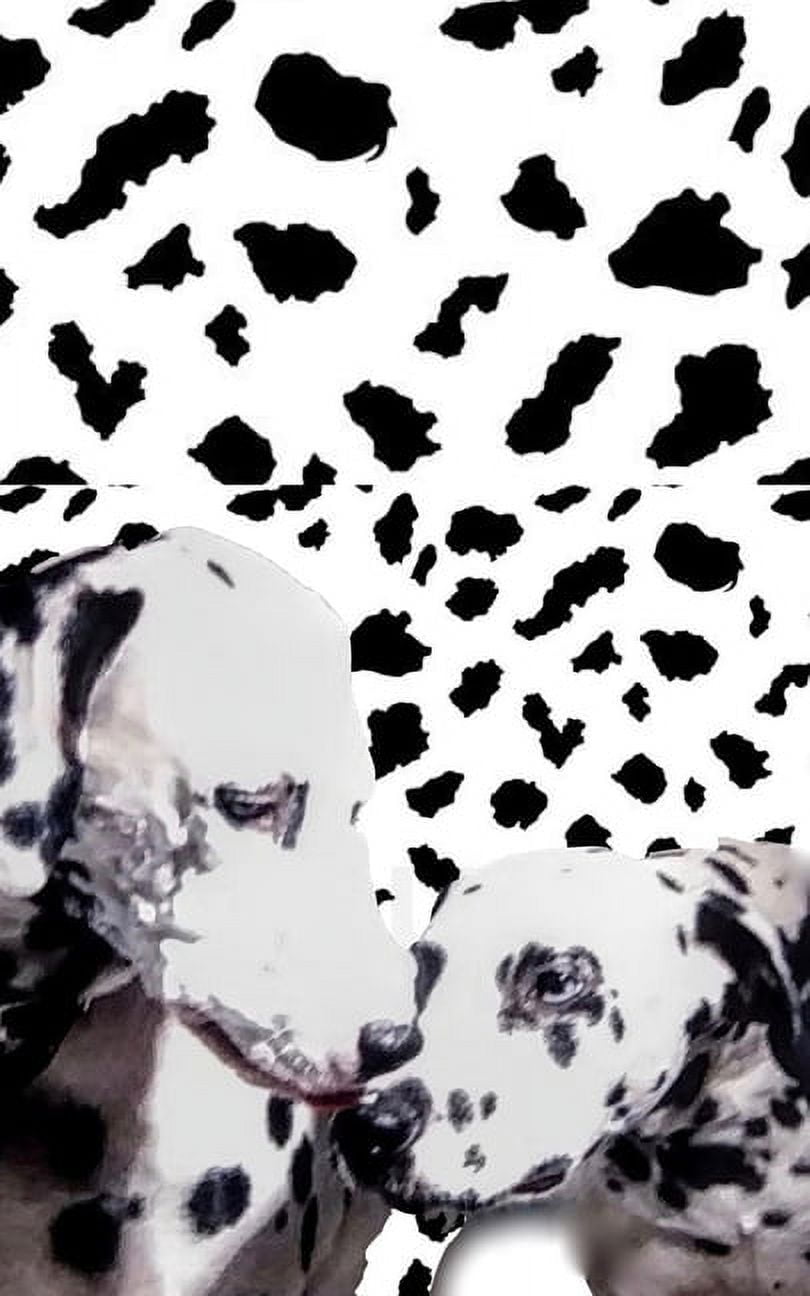 dalmatian drawing writing journal: dalmatian drawing writing journal ...