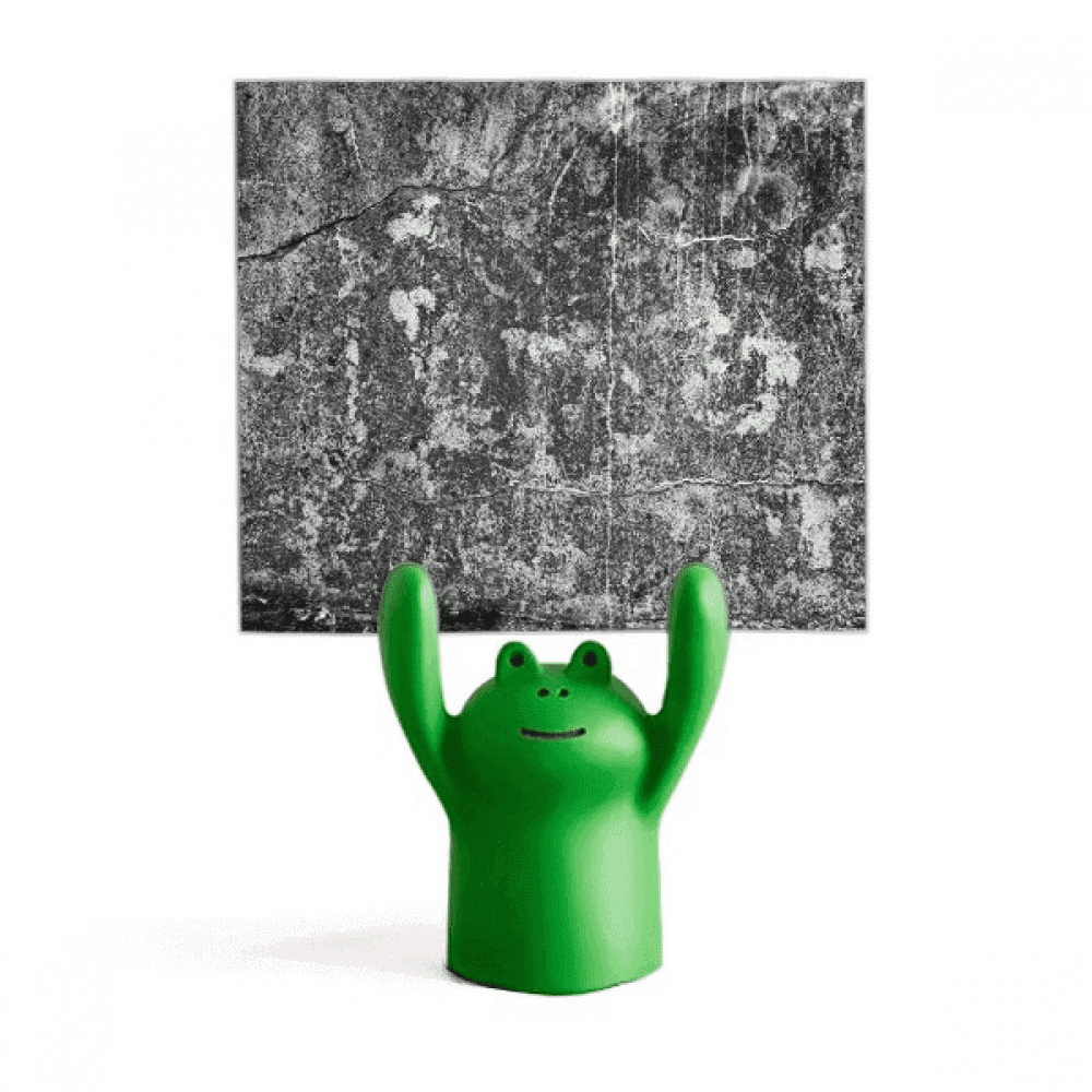 dark st wall crackles texture Memo Holder Cartoon Animal Frog Stand ...