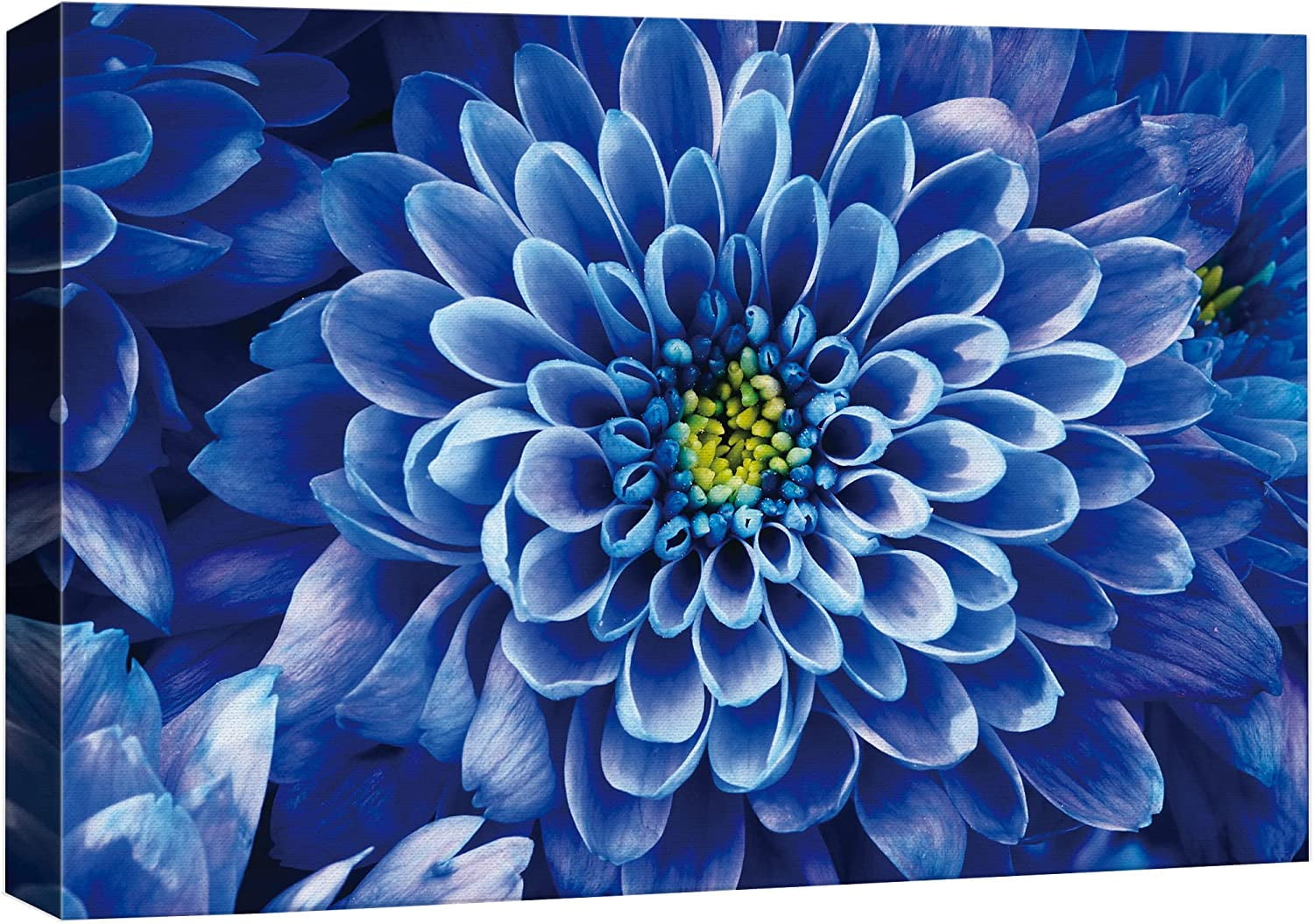 dashuaibi-Canvas Print Wall Art Blooming Navy Blue Dahlia Flower Floral ...