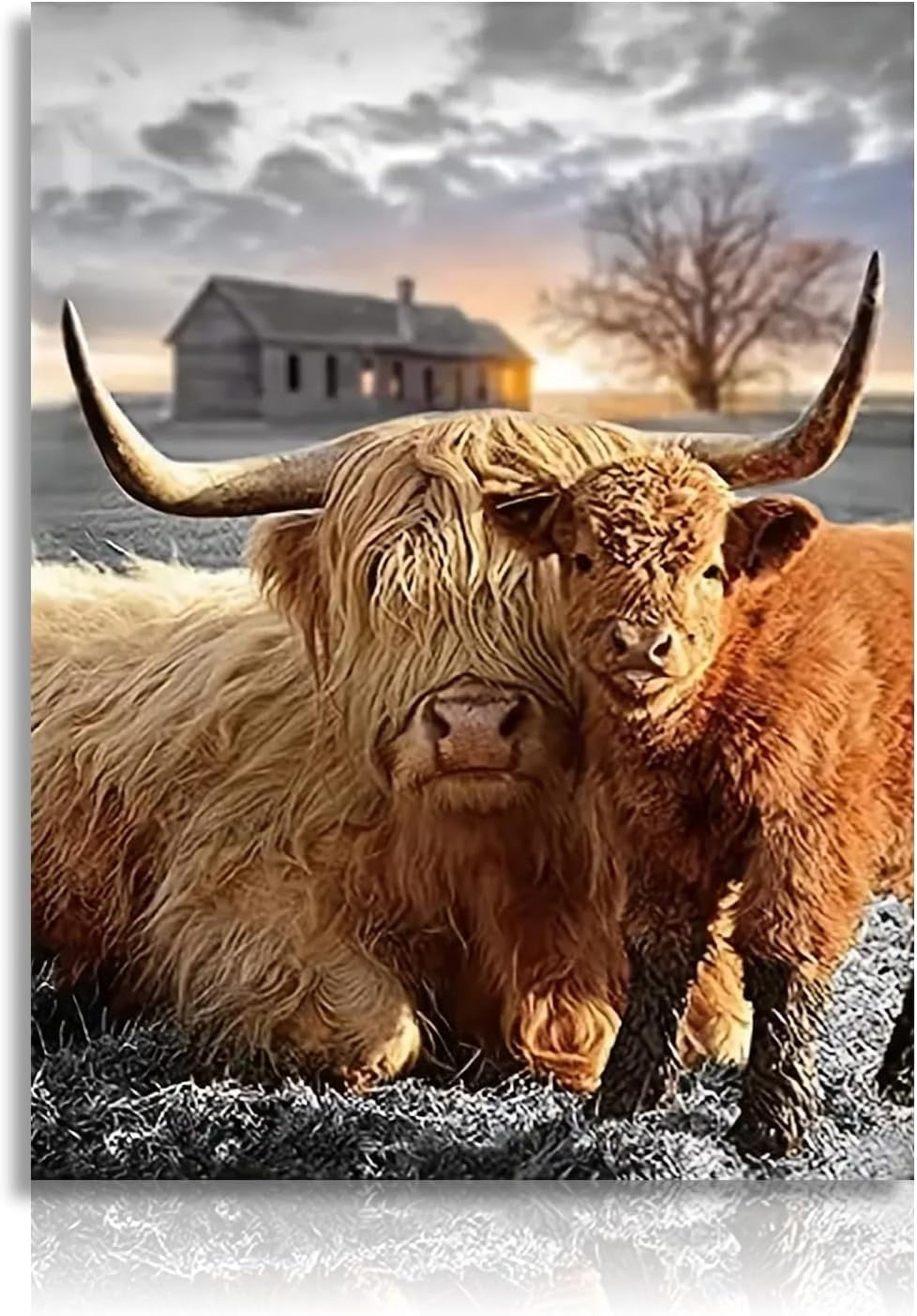 dashuaibi-Highland Cow Canvas Wall Art Rustic Farmhouse Pictures Wall ...