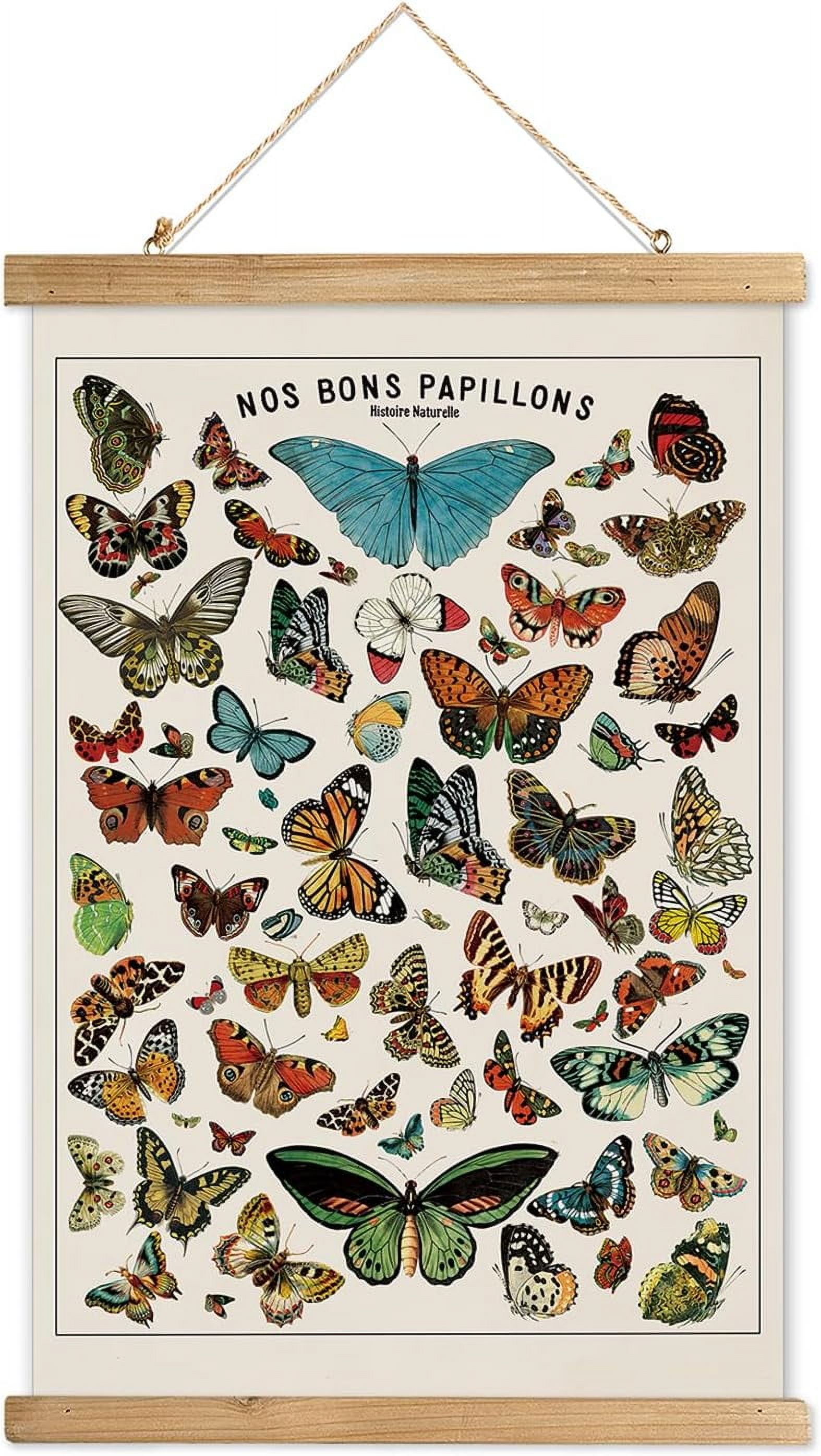 dashuaibi-Posters- Vintage Butterfly Species Poster - Illustrated ...