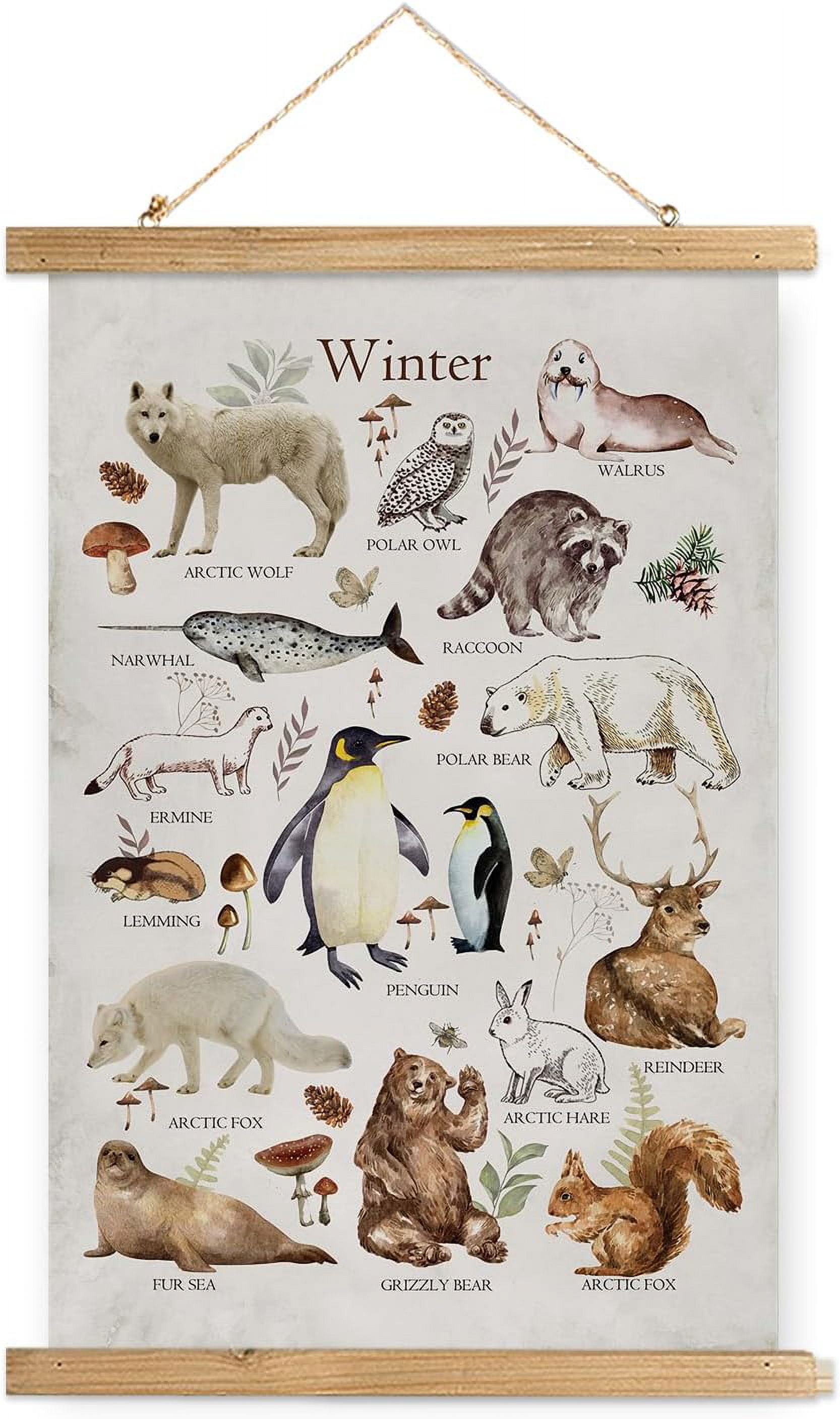 dashuaibi-Posters- Winter Wildlife Educational Poster - Illustrated ...