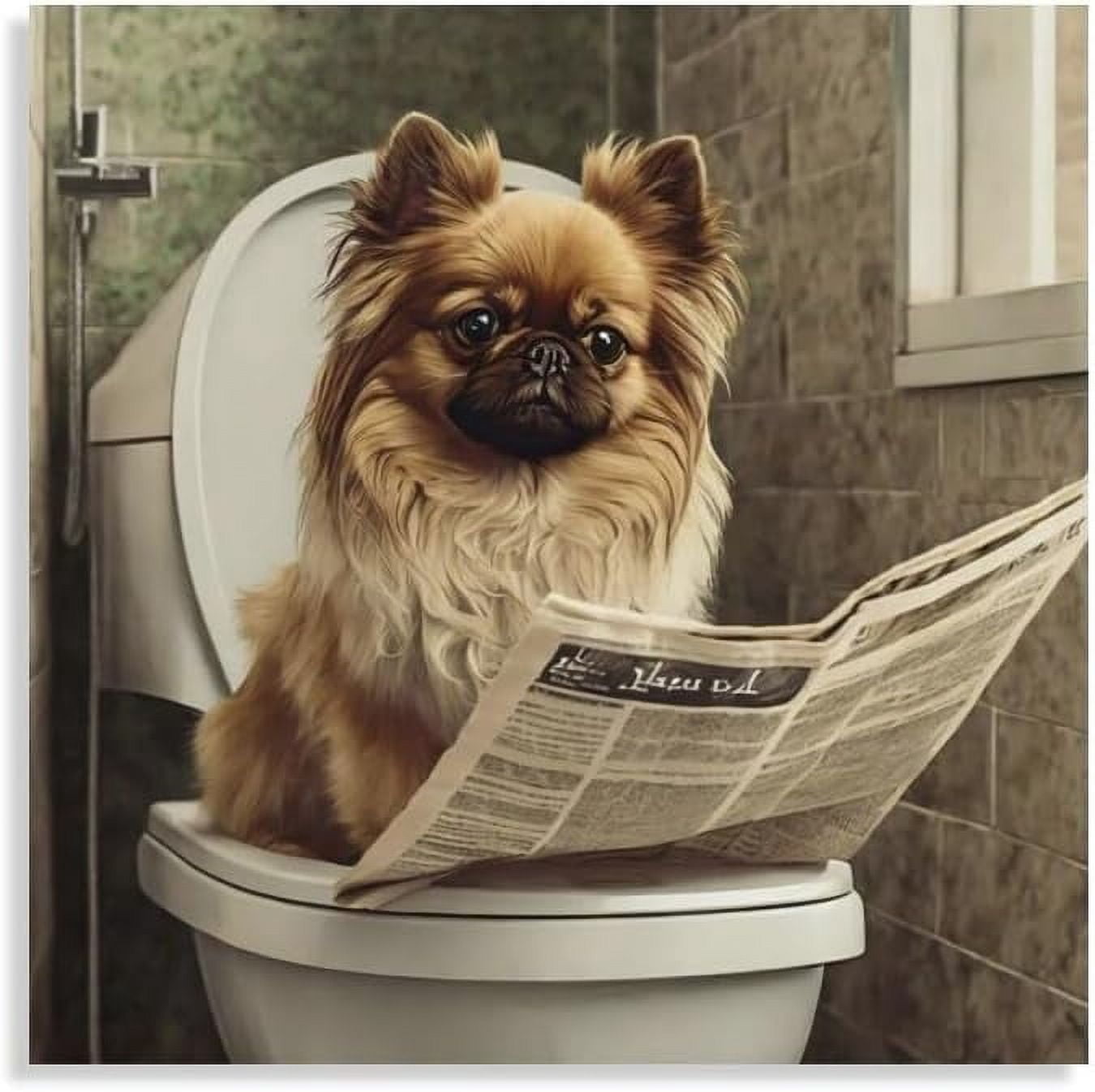 dashuaibi-Square Canvas Bathroom Decor Pekingese Dog Wall Decor Poster ...