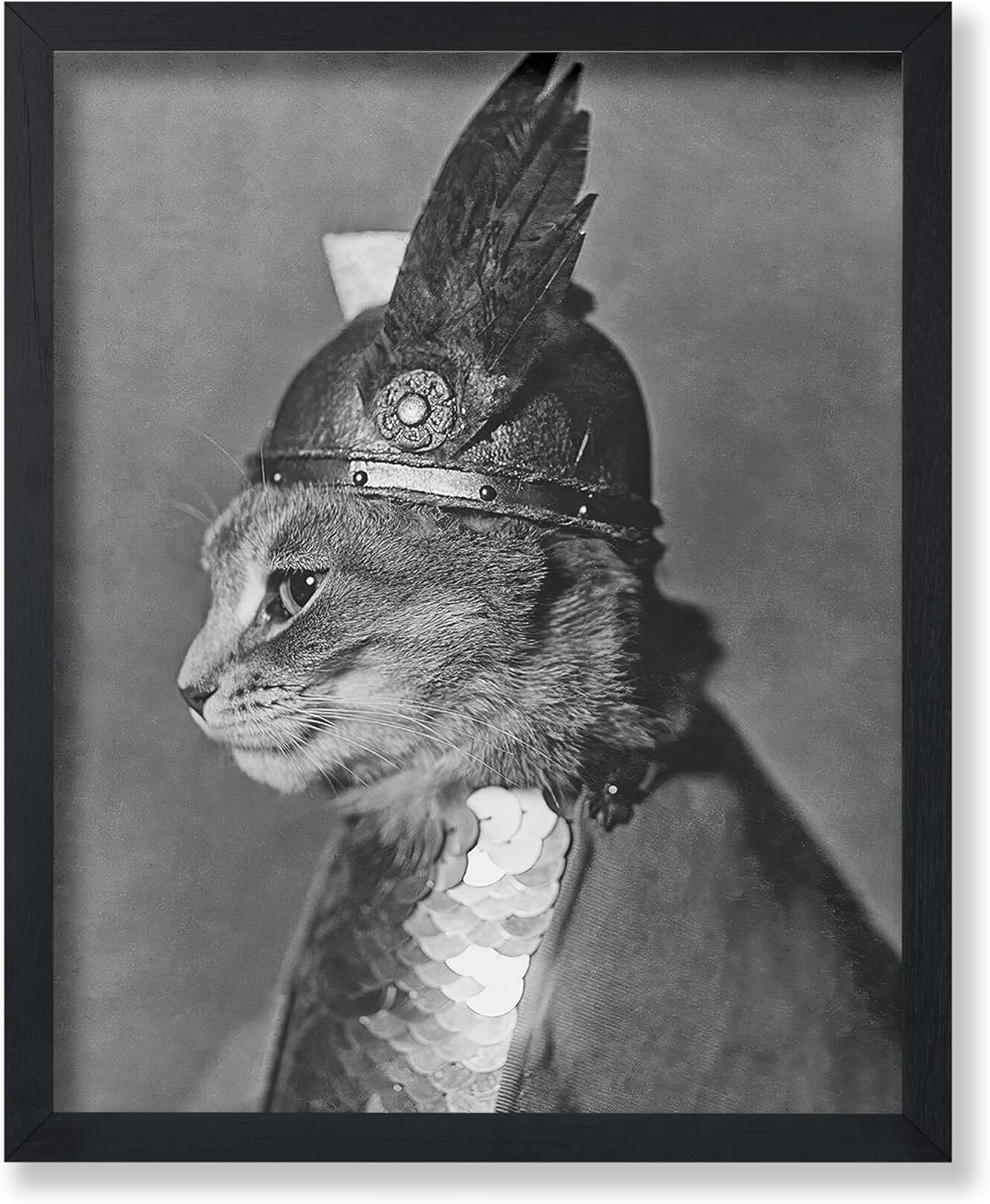 dashuaibi-Vintage Brunhilde the Cat Poster - Retro Armored Cat with ...