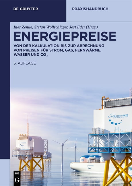 de Gruyter Praxishandbuch Energiepreise: Von Der Kalkulation Bis Zur ...